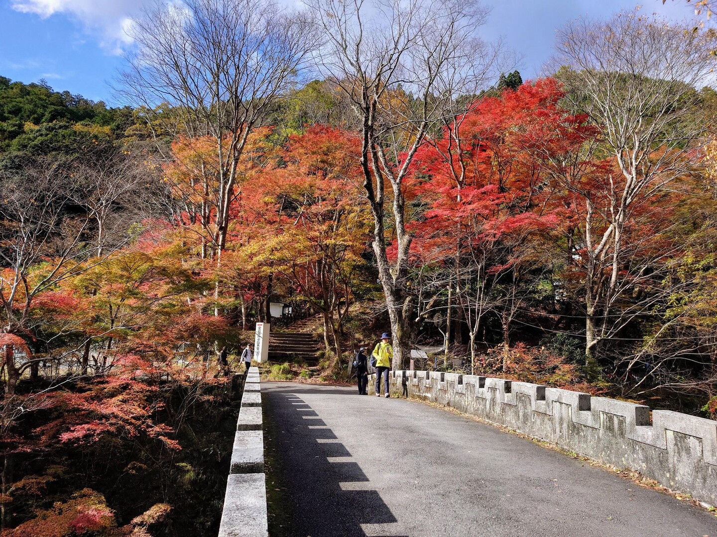 愛宕山 / katuさんの愛宕山・三頭山・朝日峯の活動データ | YAMAP / ヤマップ