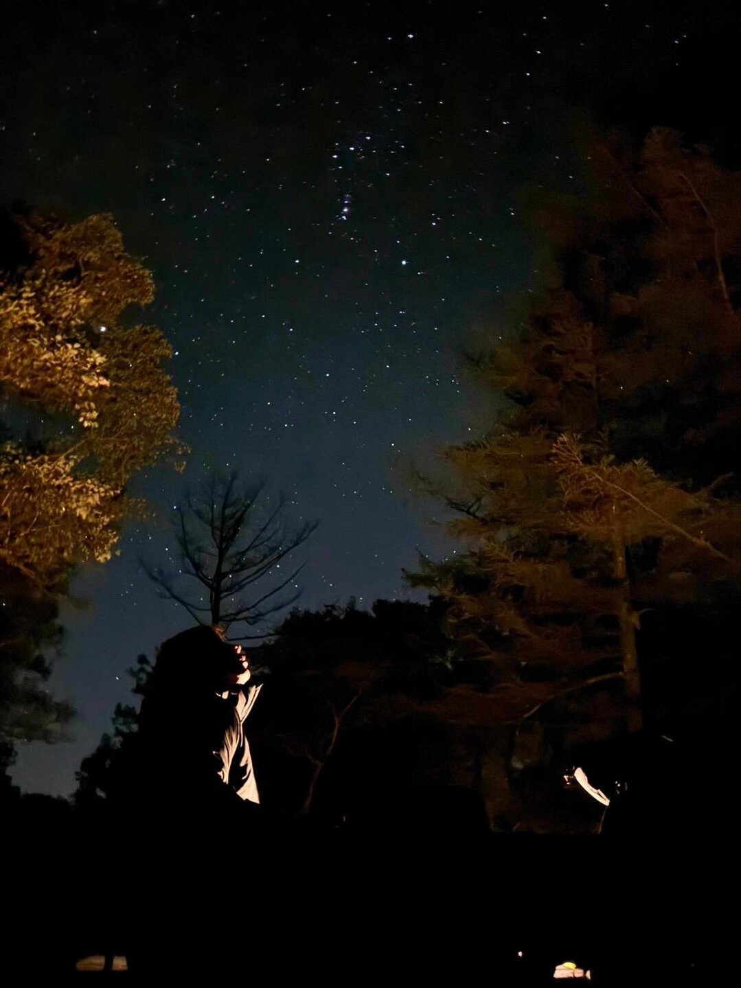 M_Shotaのページ | YAMAP / ヤマップ