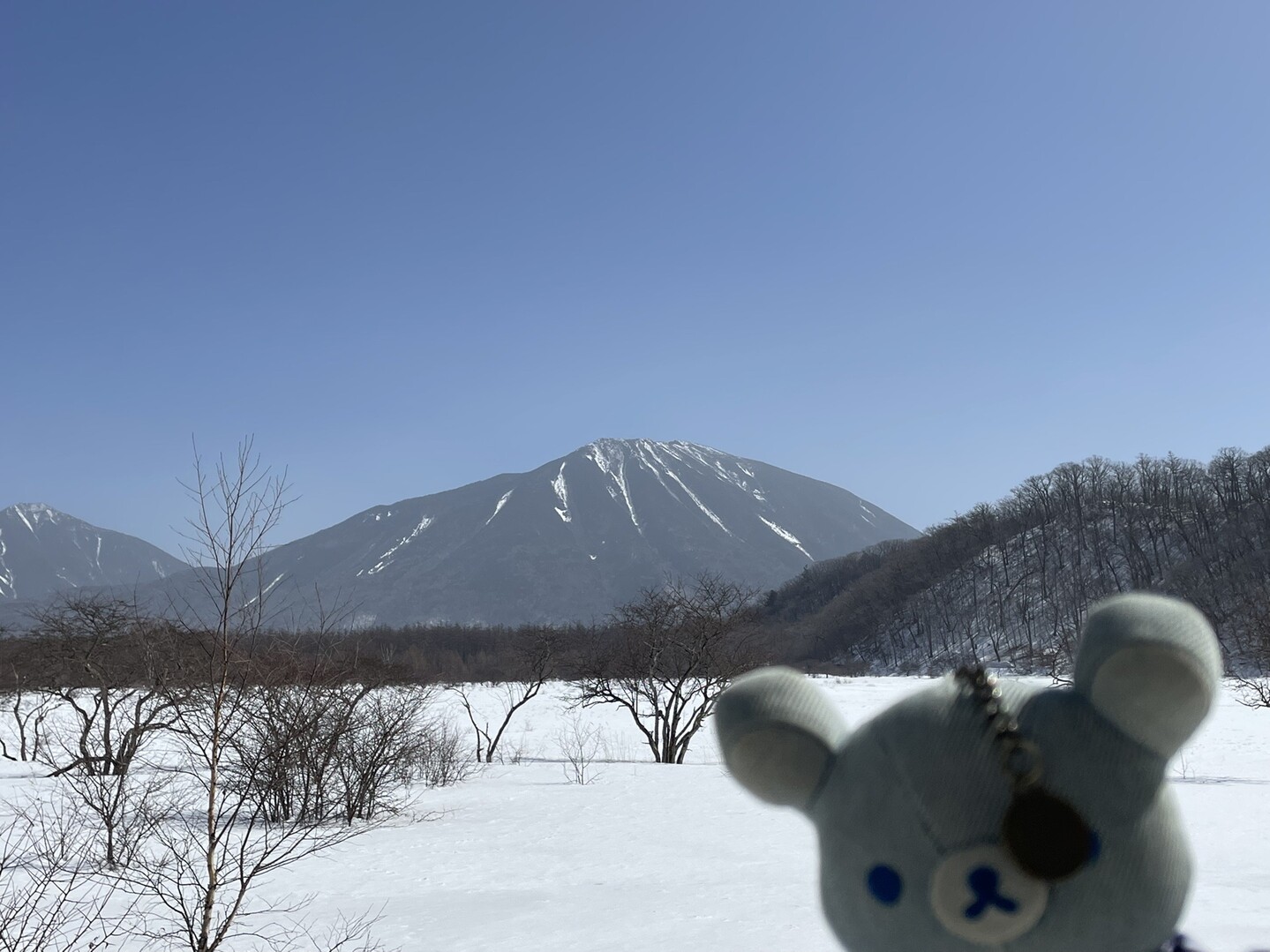 戦場ヶ原ギスギスハイキング(ll'ω') / のりたまさんの男体山の活動データ | YAMAP / ヤマップ