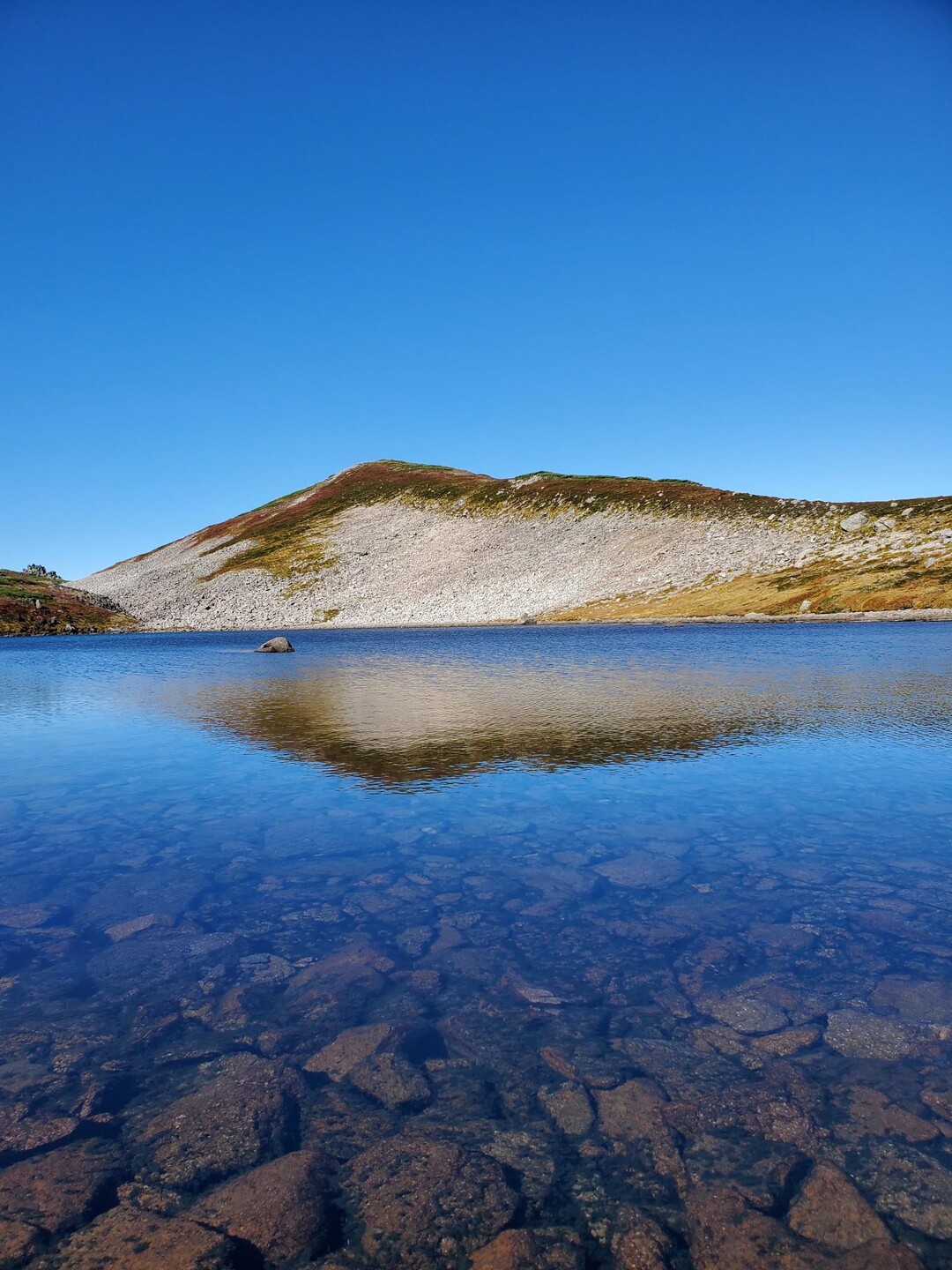 トムラウシ山 / おにぎり大臣さんのGT3 2の活動データ | YAMAP / ヤマップ