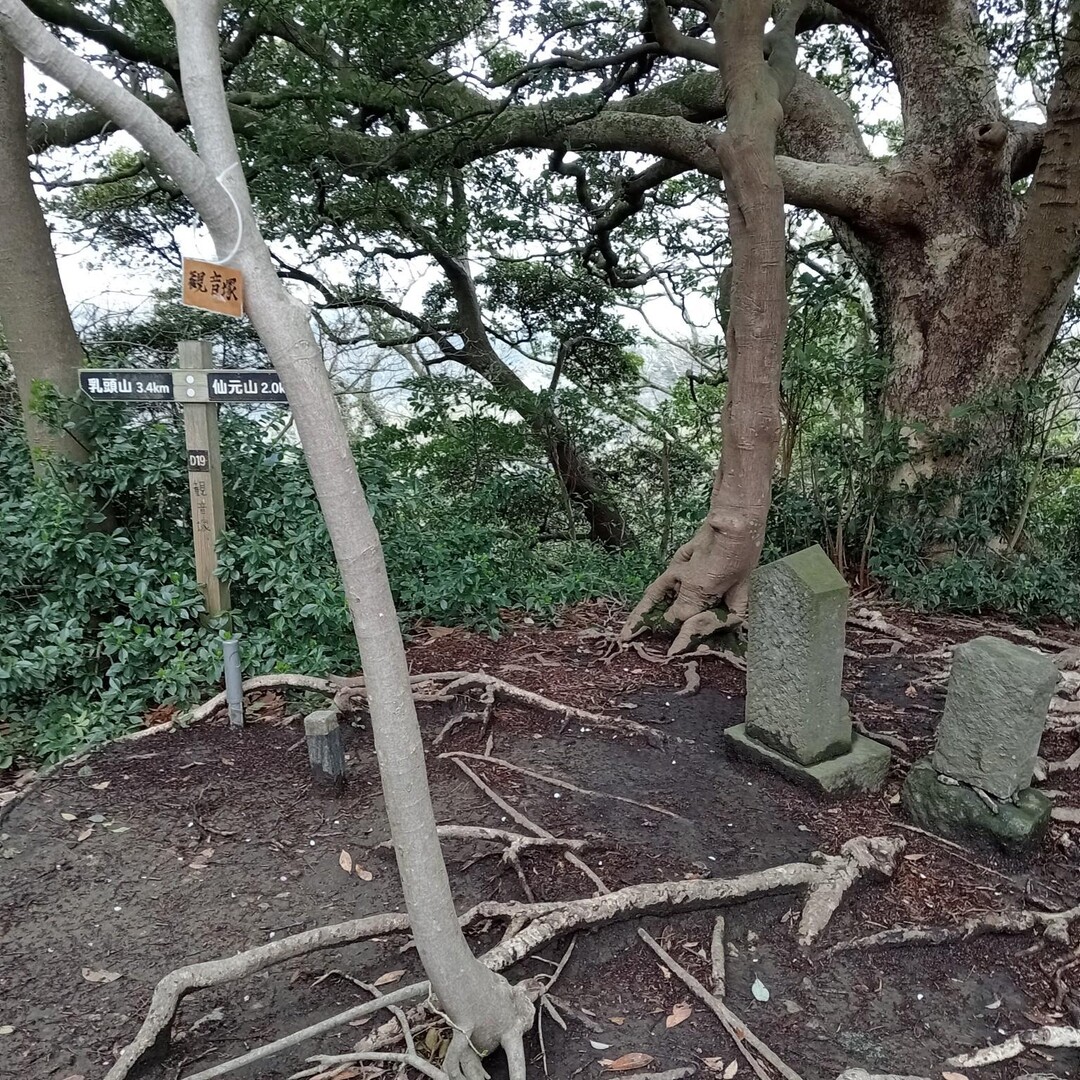 NTNさんの投稿したフィールドメモ | YAMAP / ヤマップ