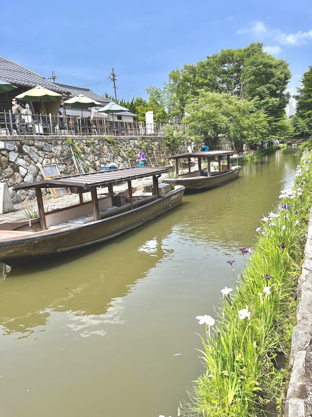 近江トレイル⑫「八幡山エリア」 / Lucky Jr.さんの八幡山（鶴翼山）の活動データ | YAMAP / ヤマップ