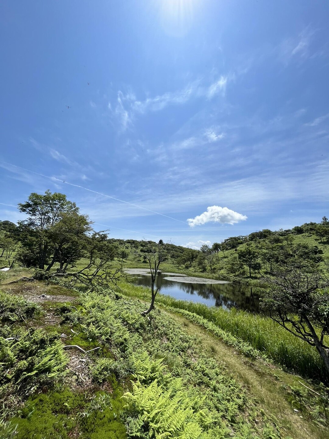 【比良山】安曇川水系ヘク谷 / dyson_evoさんのウォーキングの活動データ | YAMAP / ヤマップ