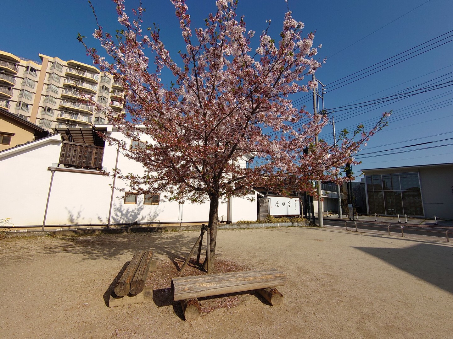 TKYMさんの投稿したフィールドメモ | YAMAP / ヤマップ