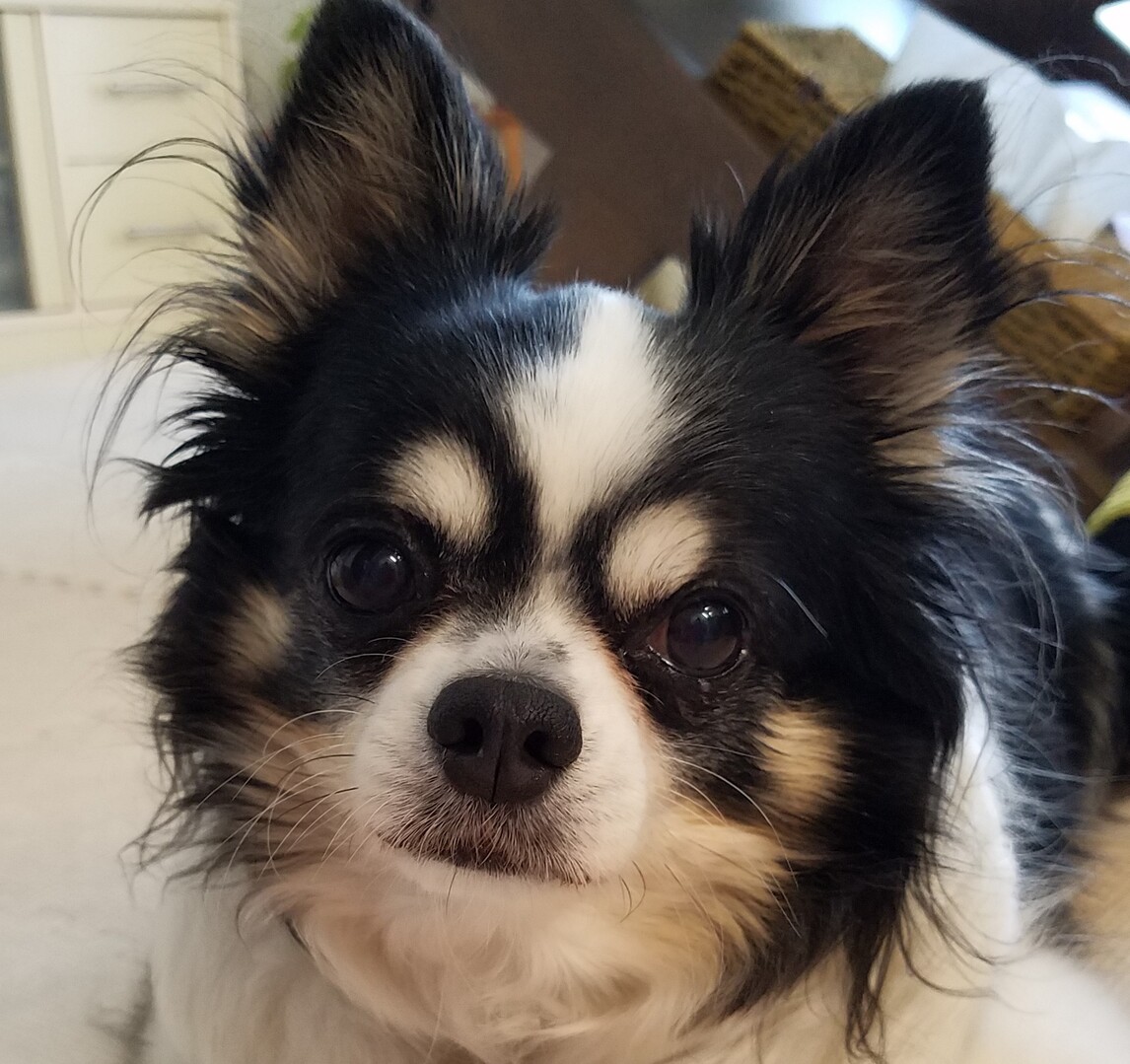 sakoのページ | YAMAP / ヤマップ