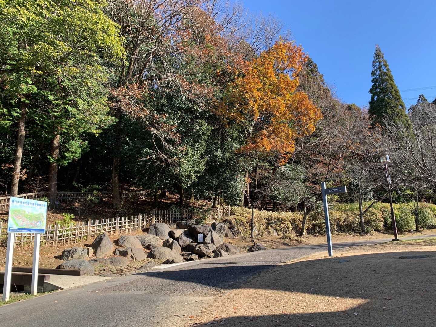 大谷山・弥勒山 / morryさんの春日井三山・弥勒山・大谷山・道樹山の活動日記 | YAMAP / ヤマップ