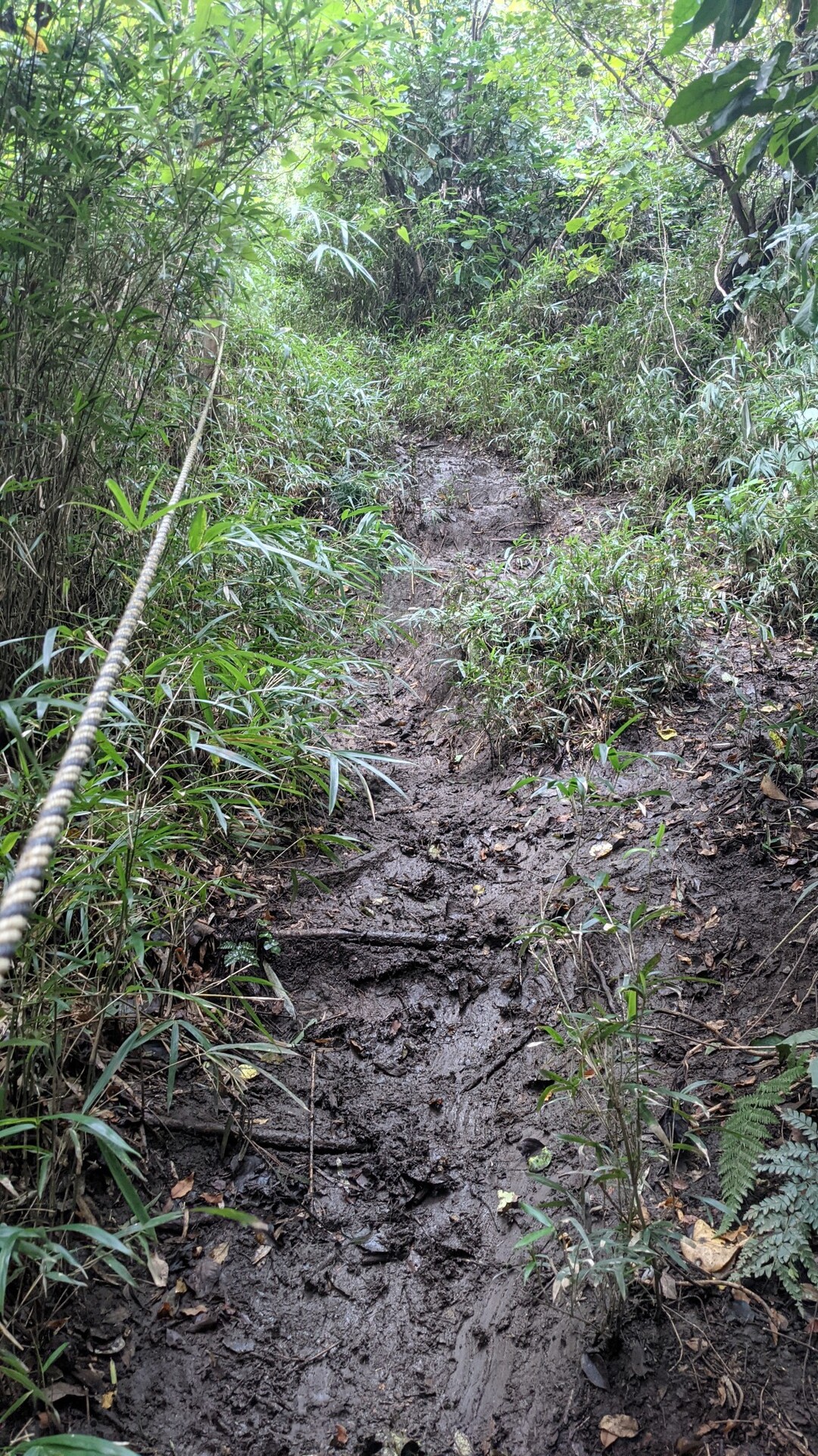 nakameguさんの投稿したフィールドメモ | YAMAP / ヤマップ