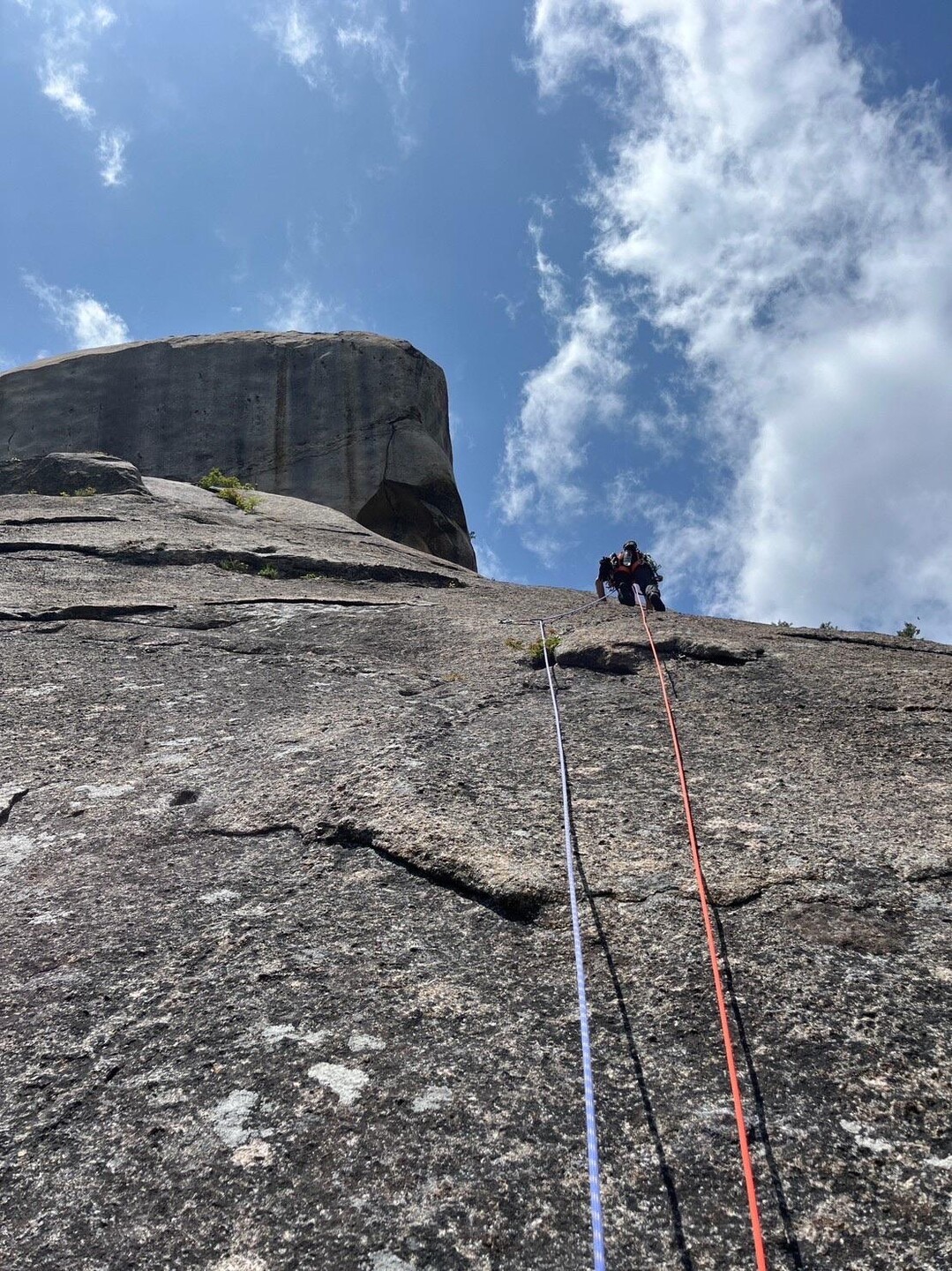 【外岩マルチ】鉾岳・大長征ルート(Ⅴ+ 12P 350m) / みっつーさんの鉾岳・鬼の目山の活動データ | YAMAP / ヤマップ