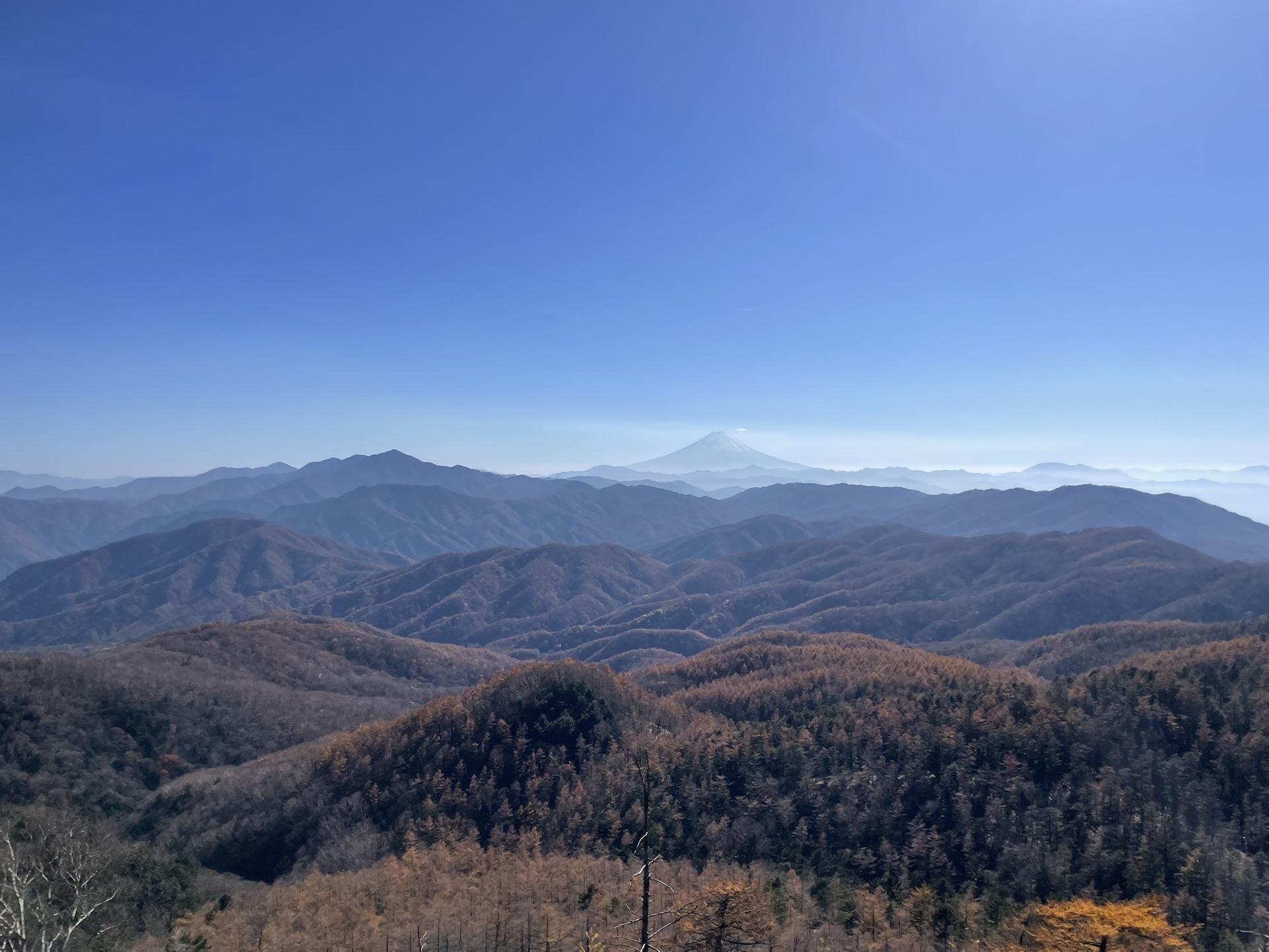 笠取山 / akioさんの和名倉山・笠取山・東仙波の活動データ | YAMAP / ヤマップ