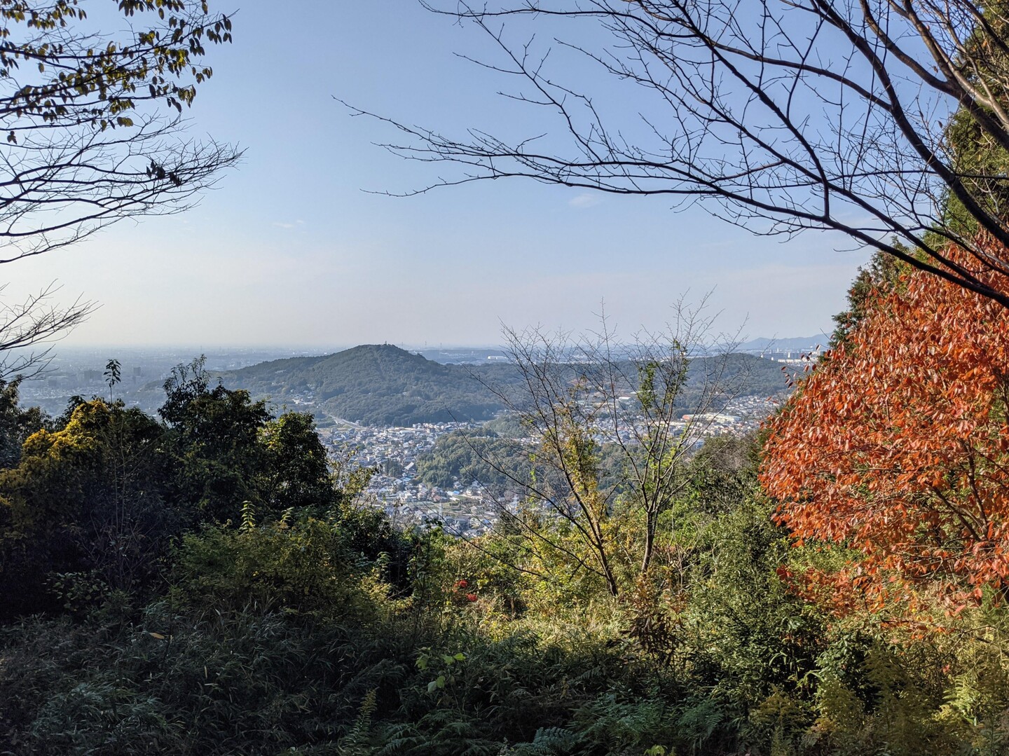 東谷山・高根山・山星山 / washinaさんの山星山・高根山の活動データ | YAMAP / ヤマップ