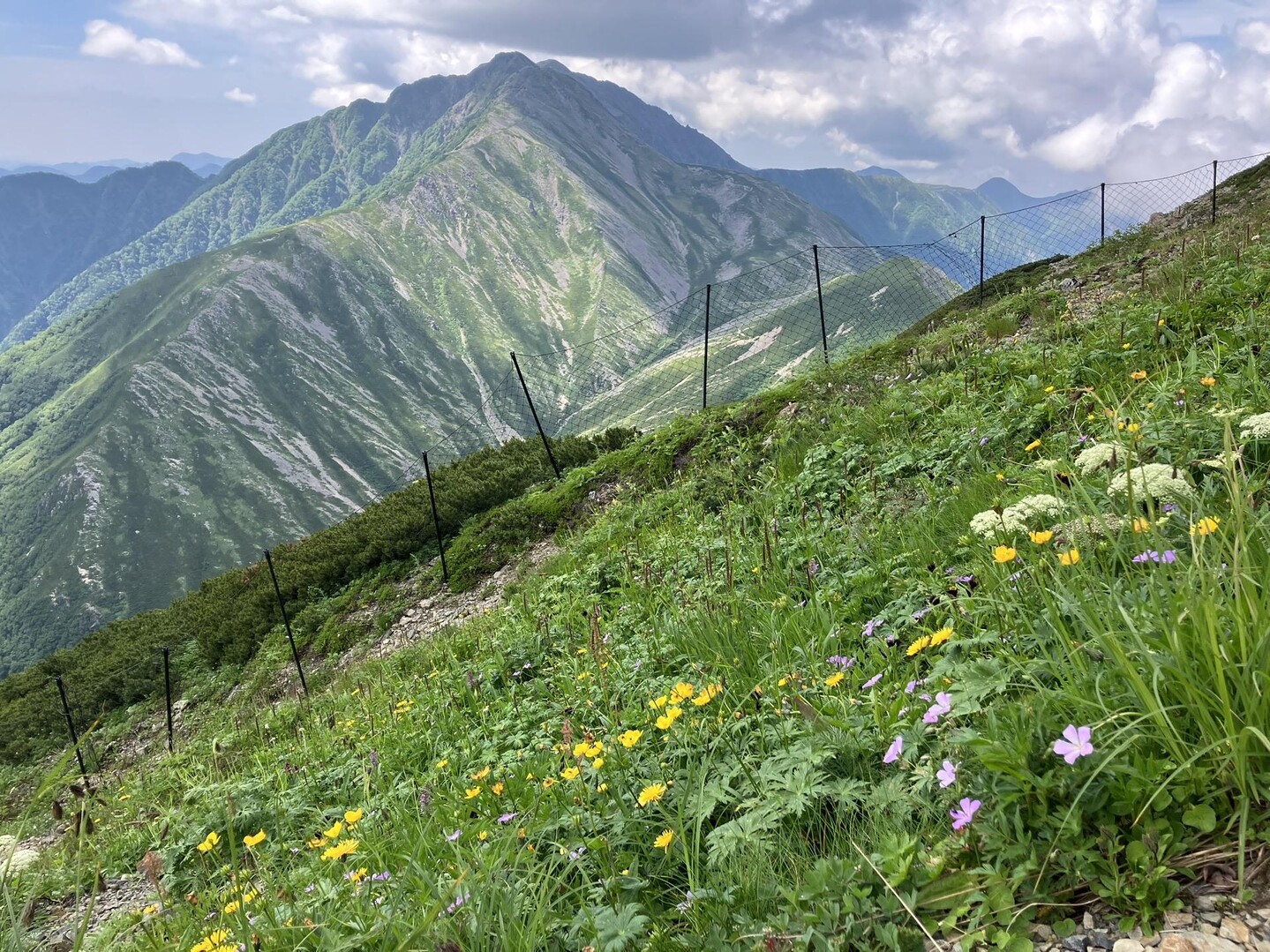 けんたなさんの投稿したフィールドメモ | YAMAP / ヤマップ