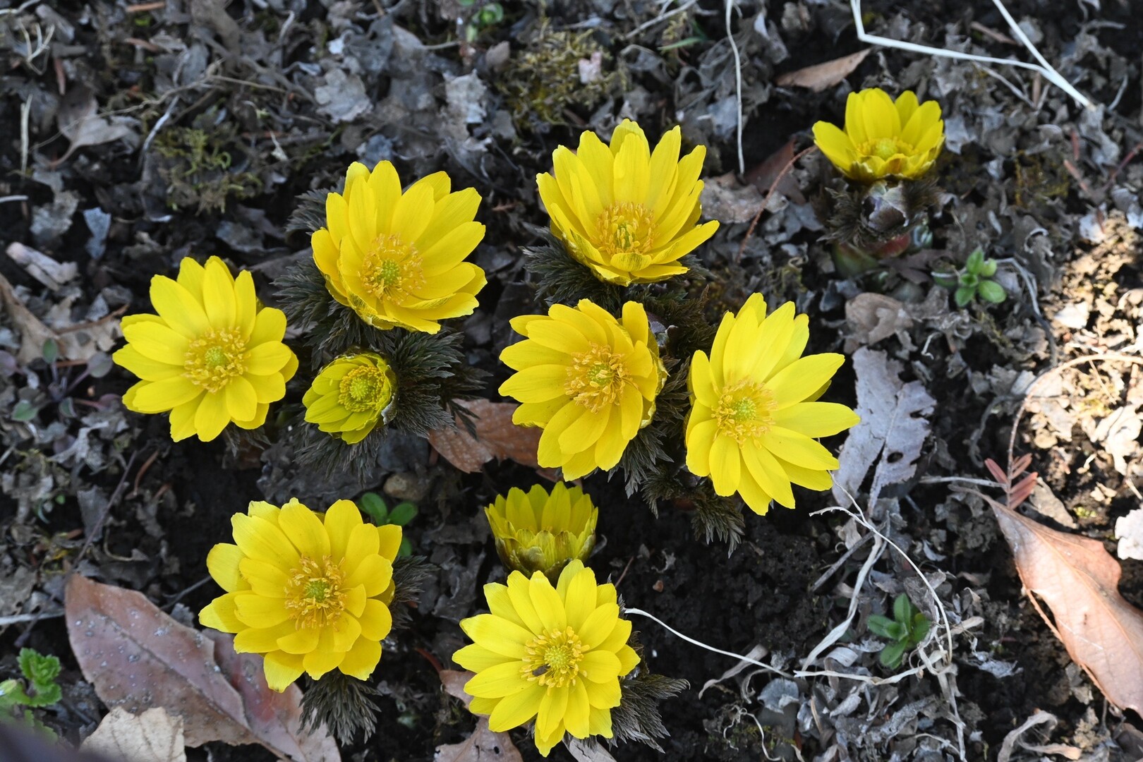 相模原北公園 22.02.23 神奈川県... / TAKKUNさんのモーメント | YAMAP / ヤマップ