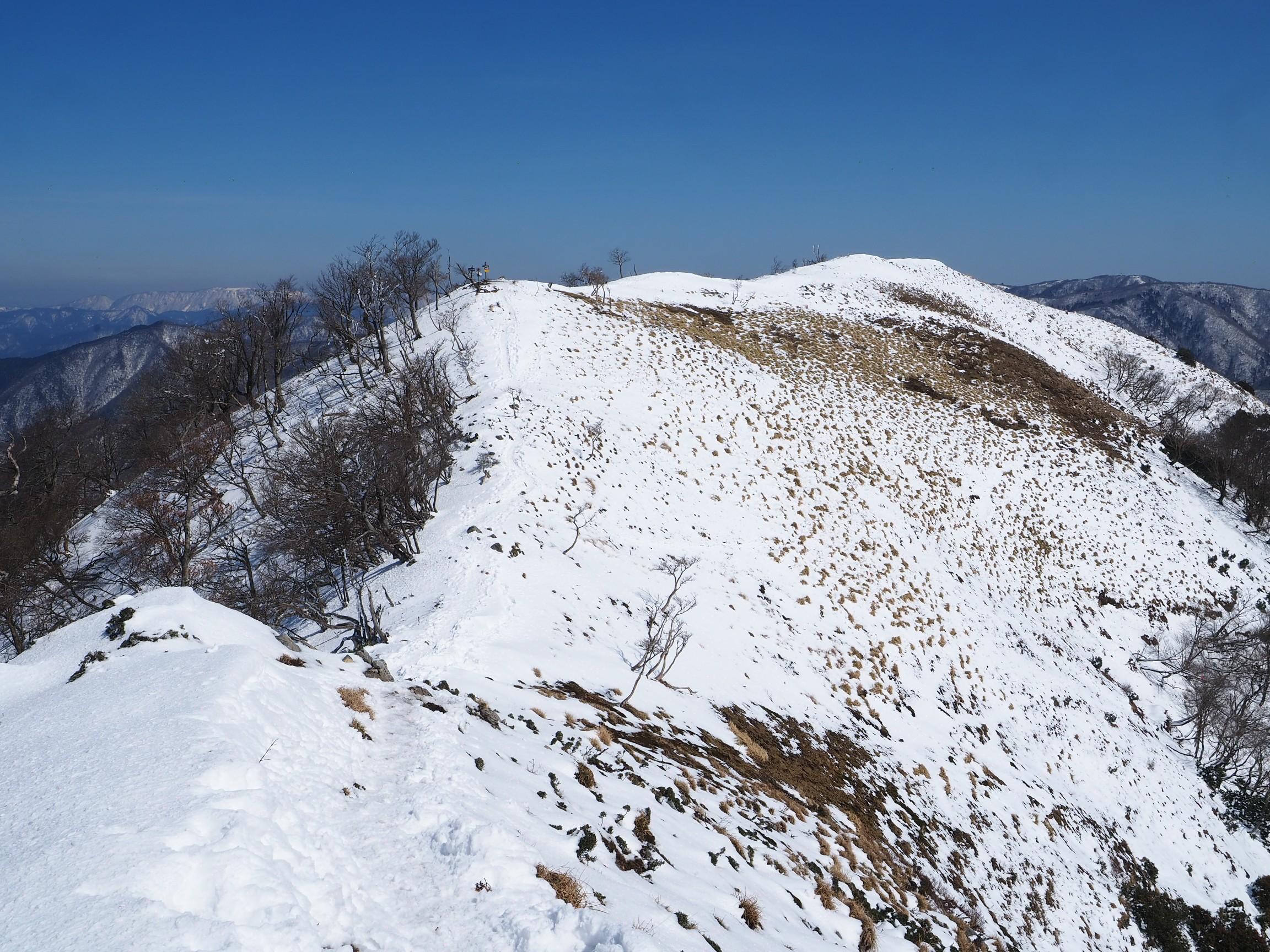 綿向山・竜王山 - 20240311 / Tadaboxさんの綿向山の活動データ | YAMAP / ヤマップ