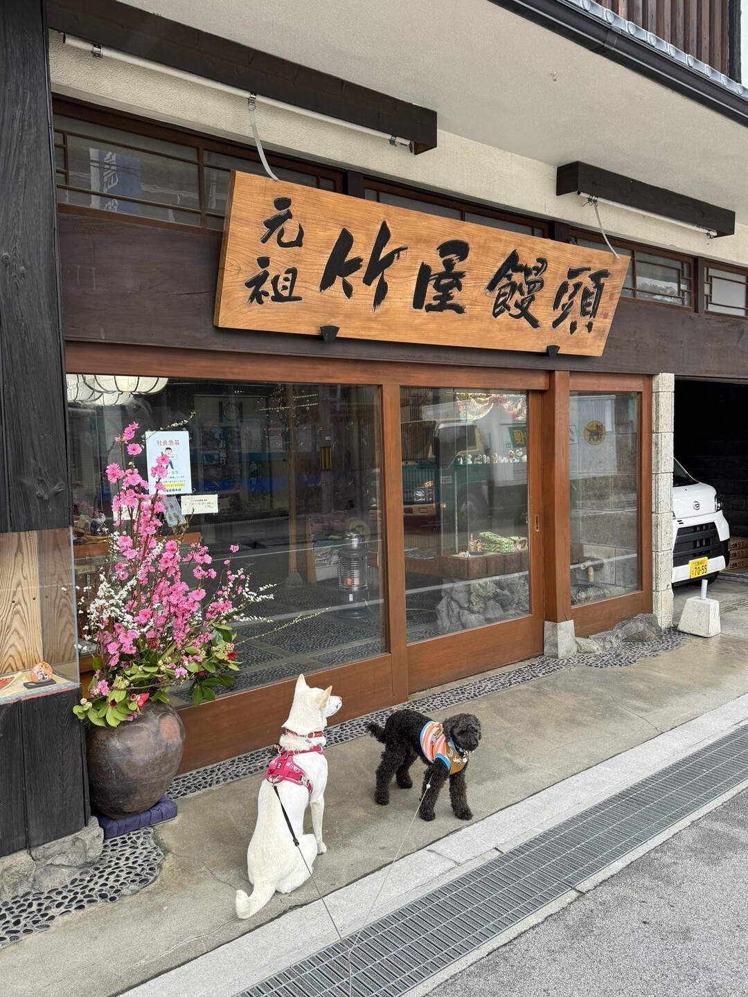 ☂️今日のお散歩🐶🐩😀 東城の🌸... / GHハコさんのモーメント | YAMAP / ヤマップ