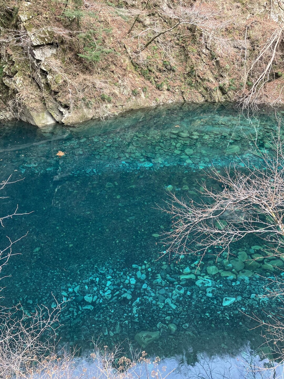 ユーシン渓谷 20250119 / はなはなさんの塔ノ岳・丹沢山・蛭ヶ岳の活動データ | YAMAP / ヤマップ