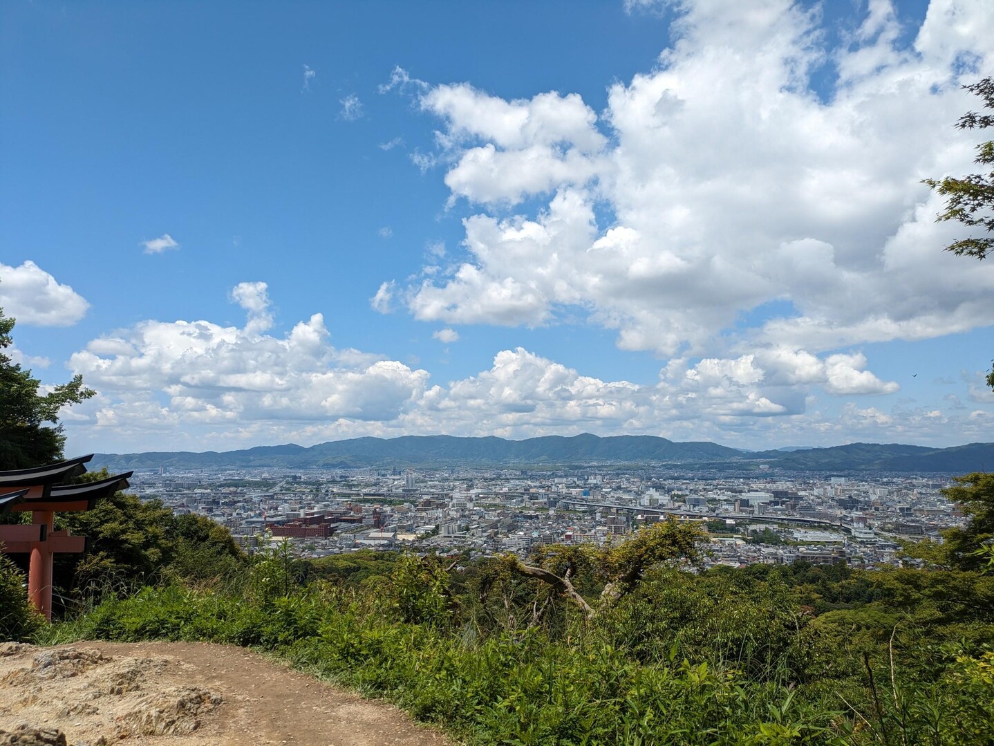 稲荷山240603 / keyさんの大文字山・如意ヶ嶽・稲荷山の活動データ | YAMAP / ヤマップ