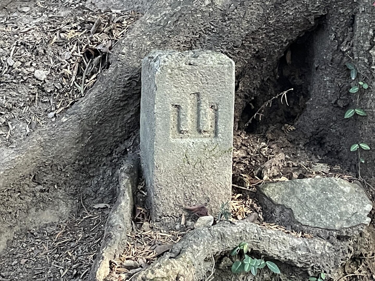 八王子城山・北高尾富士見台・熊笹山ほか / t24riverさんの高尾山・陣馬山・景信山の活動データ | YAMAP / ヤマップ