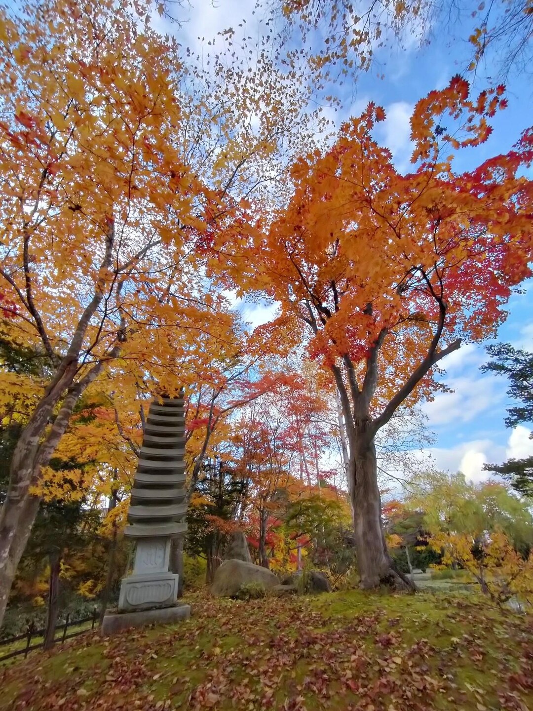 イチャンが想定より早く終わったので、帰り... / y.satoshi44さんのモーメント | YAMAP / ヤマップ