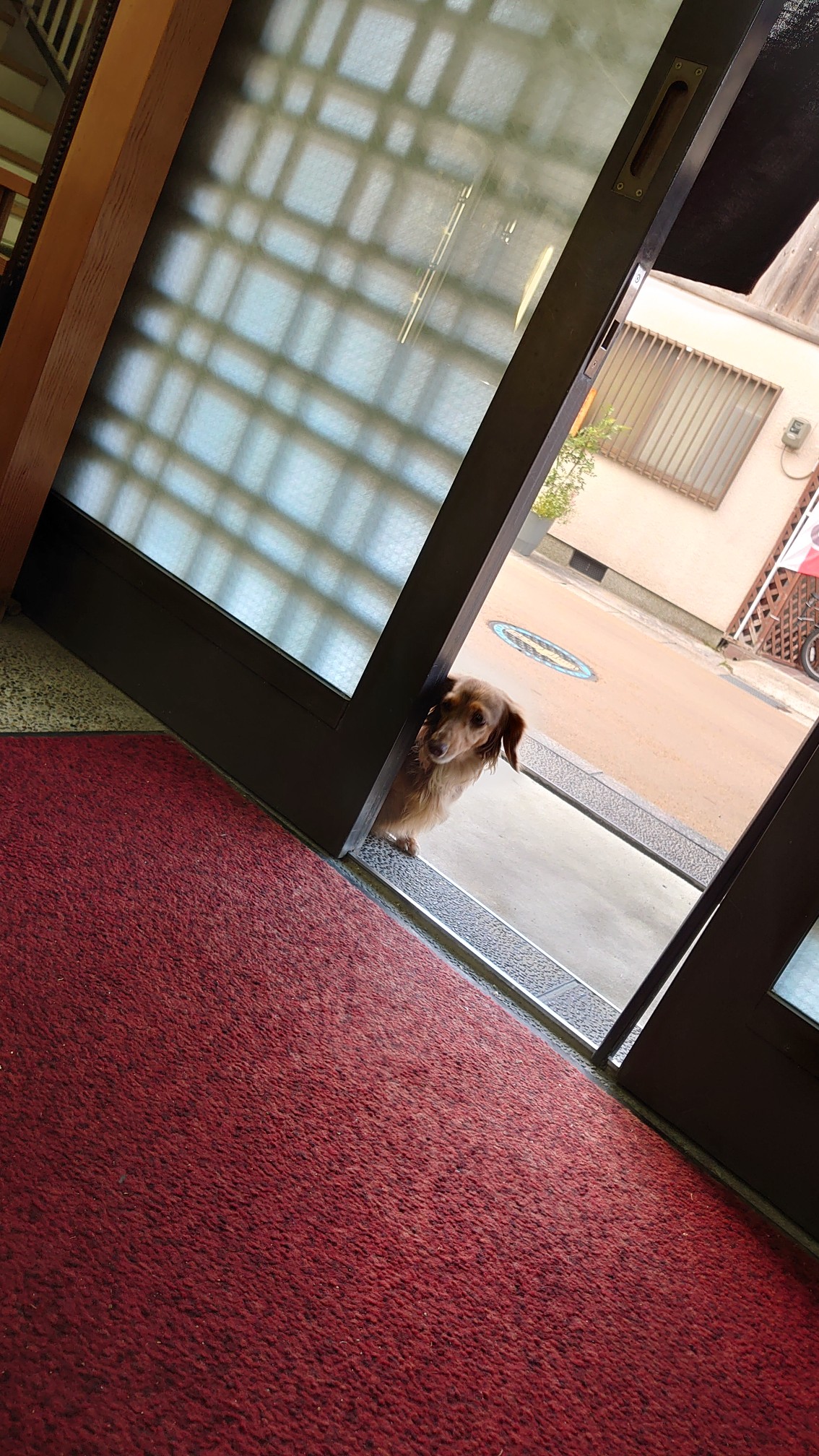 パパ、また、酔っぱらわないかしら😟 草... / Pakkun🚶 & もんちむ🐒さんのモーメント | YAMAP / ヤマップ