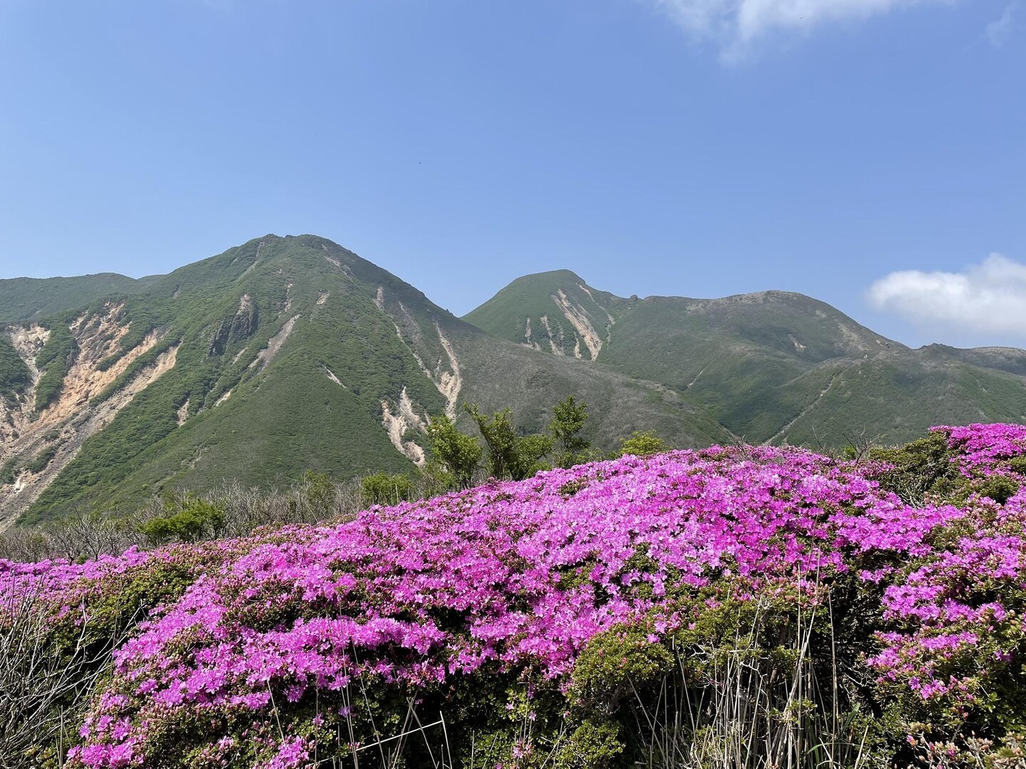 立中山 R6.5.25 / FcBanzai!!さんの九重山（久住山）・大船山・星生山の活動データ | YAMAP / ヤマップ