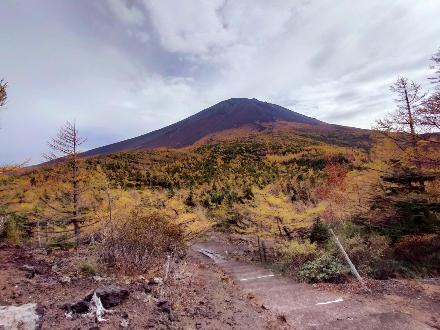 奥庭ウォーキング-2022-10-22 / Ayakaさんのウォーキングの活動データ | YAMAP / ヤマップ