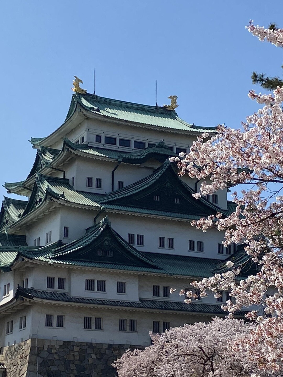 2023.04.01(土) 07:09 / シャアさんのモーメント | YAMAP / ヤマップ