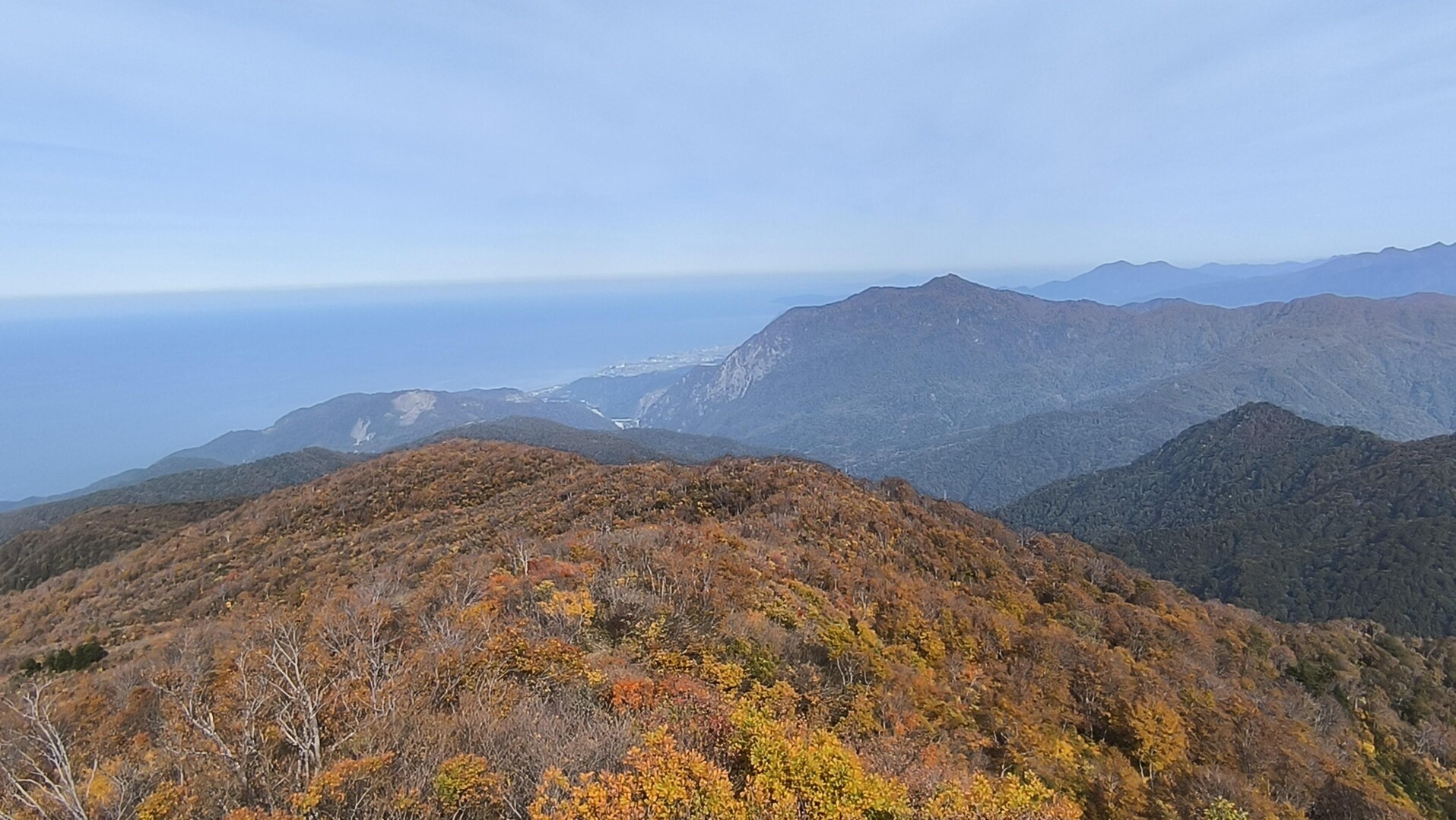 栂海新道を歩くmini 白鳥山、下駒ヶ岳 / ひとり静かさんの白鳥山・下駒ヶ岳・犬ヶ岳の活動データ | YAMAP / ヤマップ