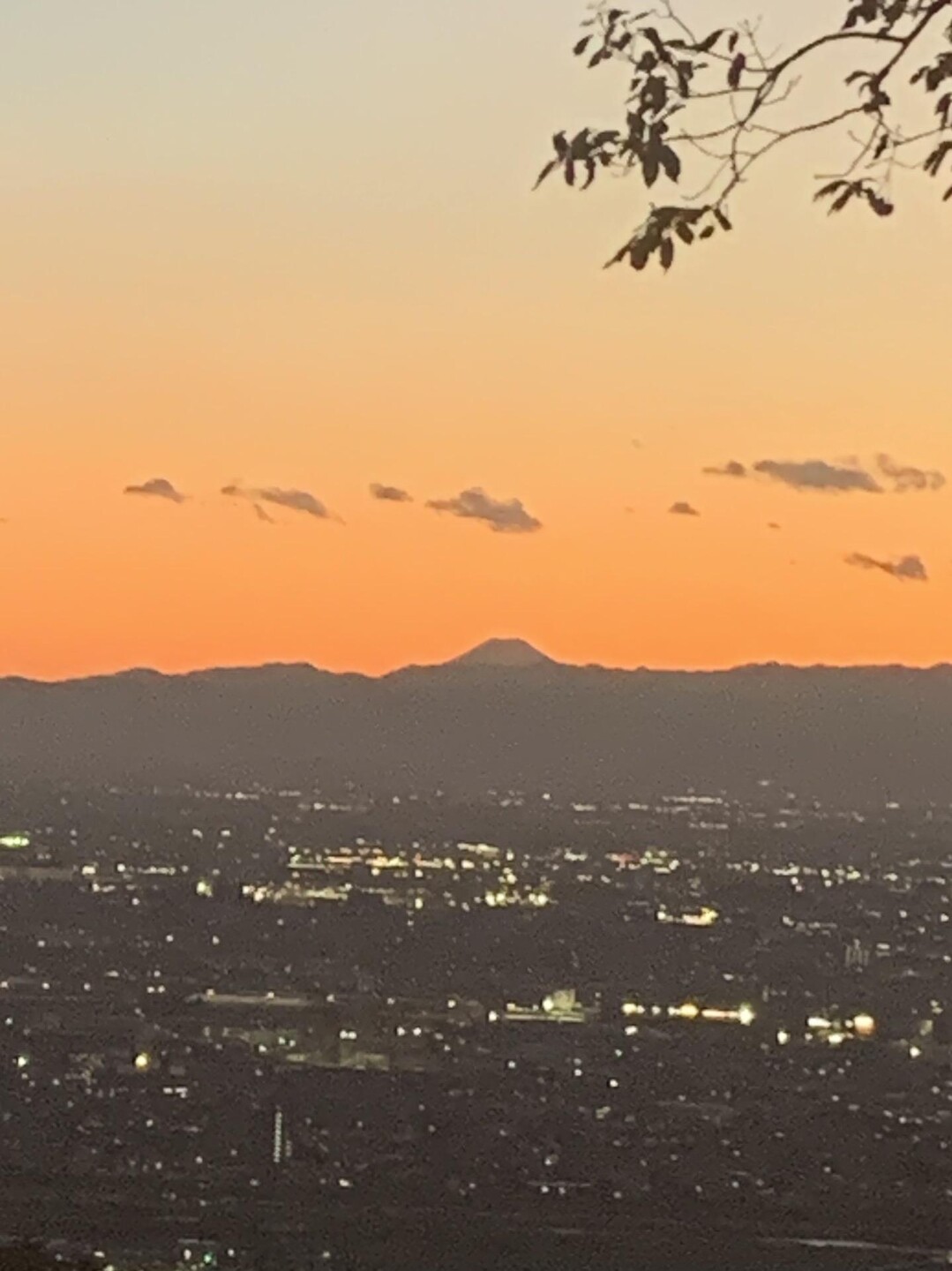 天狗山・両崖山・織姫神社 / ayu ayuさんの両崖山・仙人ヶ岳・石尊山の活動データ | YAMAP / ヤマップ