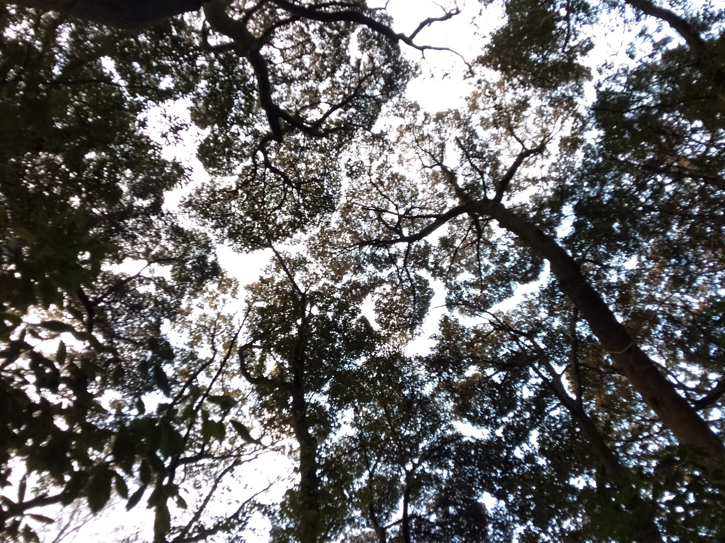 takurockさんの投稿したフィールドメモ | YAMAP / ヤマップ