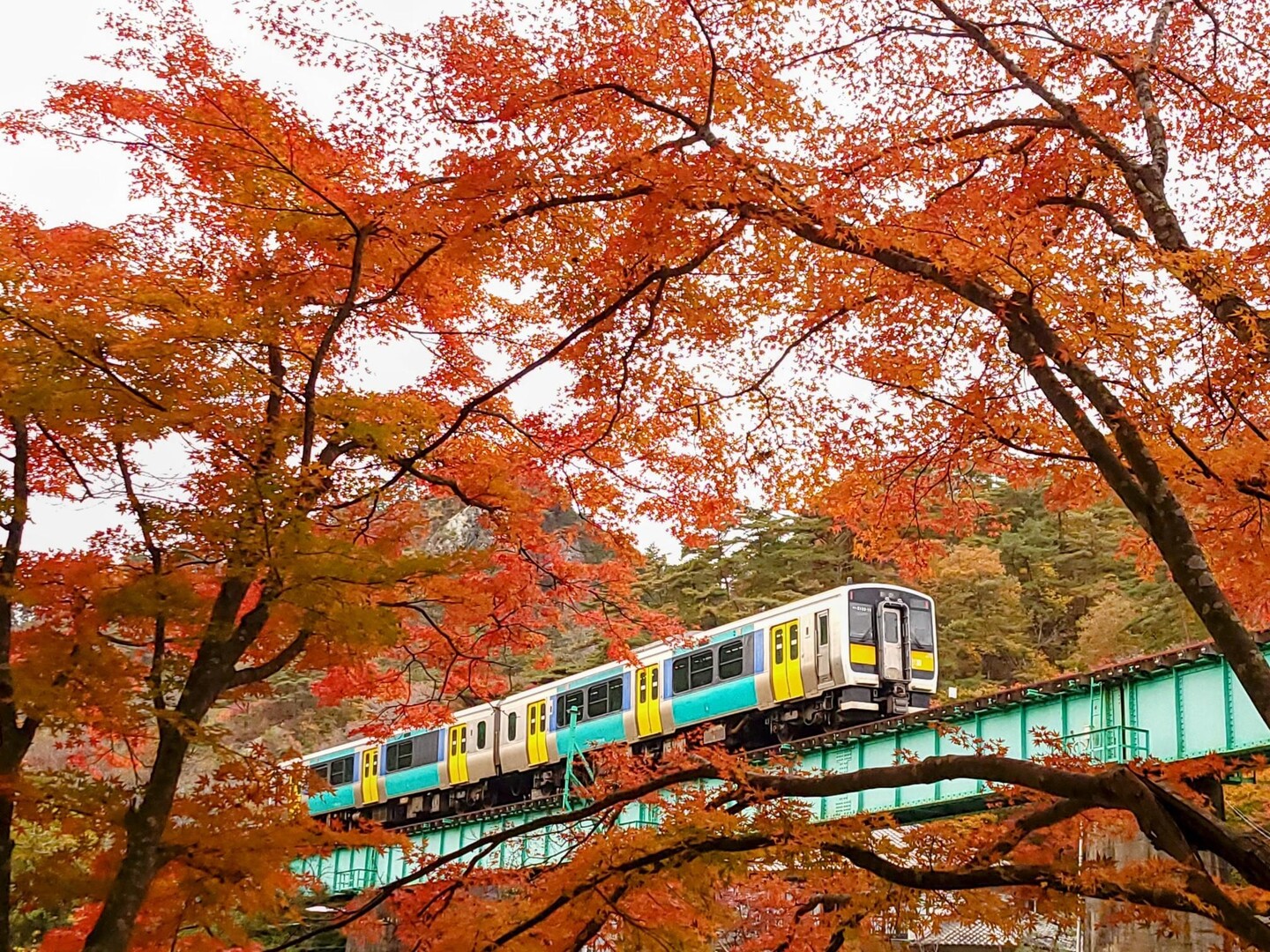 🍁矢祭山🍁 / ykさんの矢祭山・檜山の活動日記 | YAMAP / ヤマップ