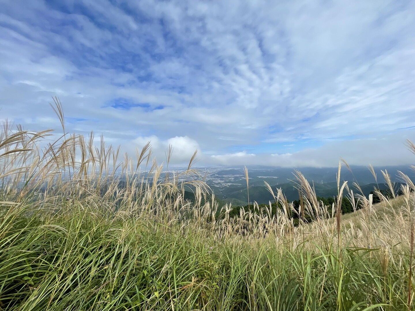 経塚山・東峰・岩湧山 / askさんの岩湧山・一徳防山・三石山の活動データ | YAMAP / ヤマップ