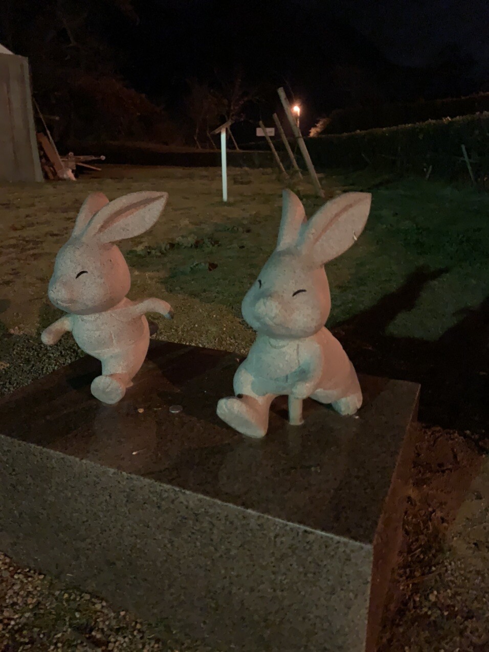 YMTのページ | YAMAP / ヤマップ