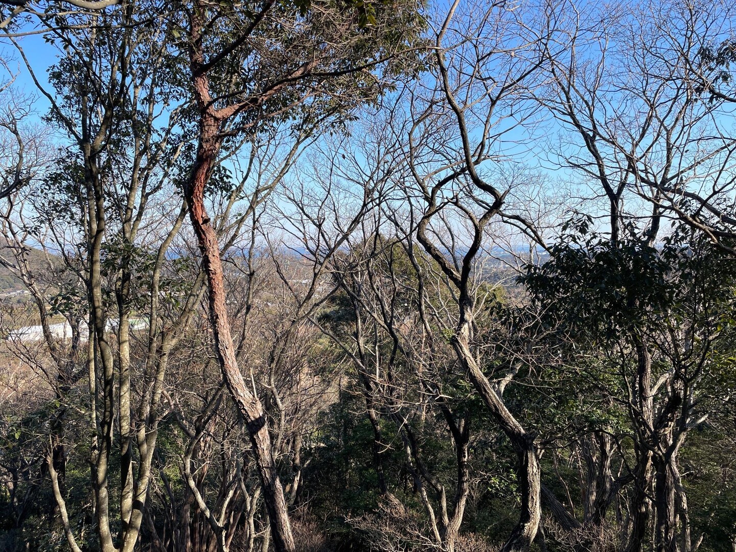 shuさんの投稿したフィールドメモ | YAMAP / ヤマップ