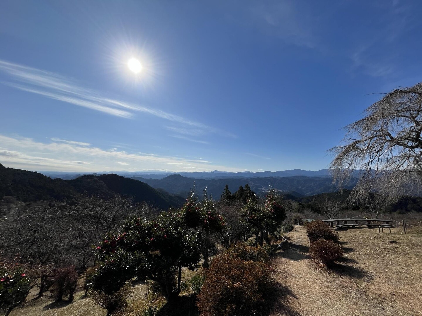 日和田山・高指山・物見山・小瀬名富士・東ムカイ山・愛宕山・観音ヶ岳・スカリ山・茶之岳山・蟹穴山... / SSMさんの日和田山・物見山の活動データ | YAMAP / ヤマップ