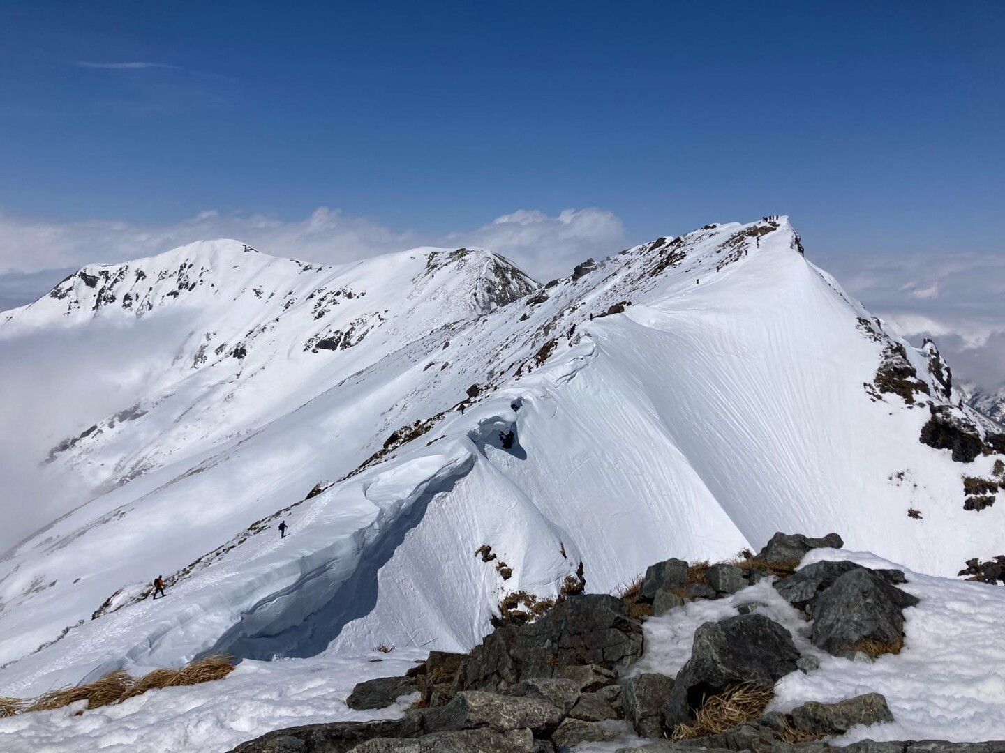 今日は晴れたし山頂踏めた。仲間と再訪の谷川岳 / pagdoggyさんの谷川岳・七ツ小屋山・大源太山の活動データ | YAMAP / ヤマップ