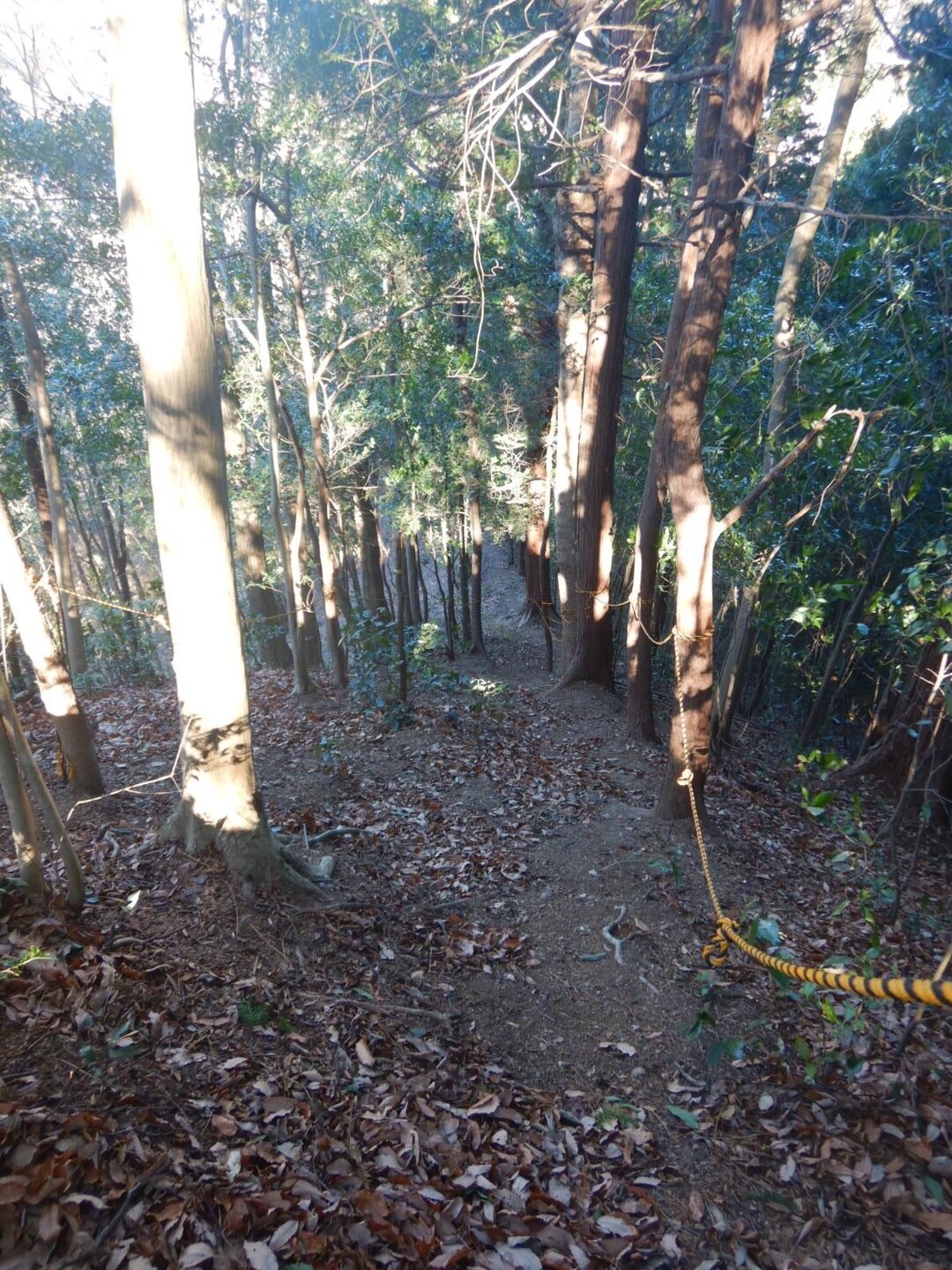 ken-3さんの投稿したフィールドメモ | YAMAP / ヤマップ