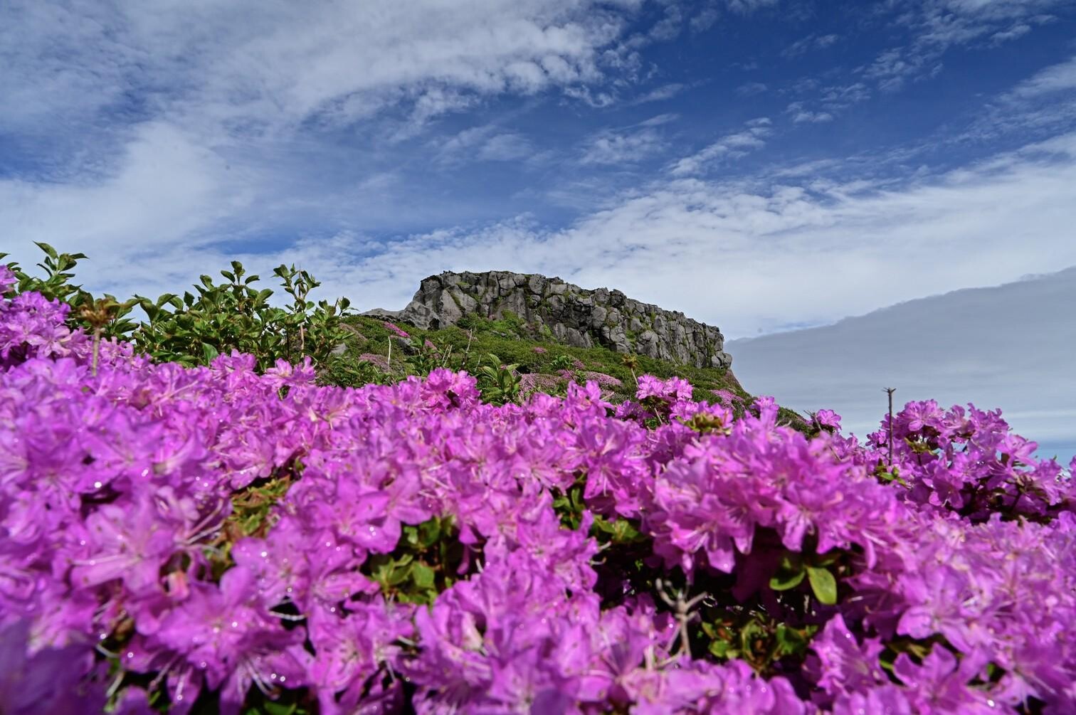 中岳 / you_foo_dakeさんの阿蘇山・高岳・根子岳の活動データ | YAMAP / ヤマップ