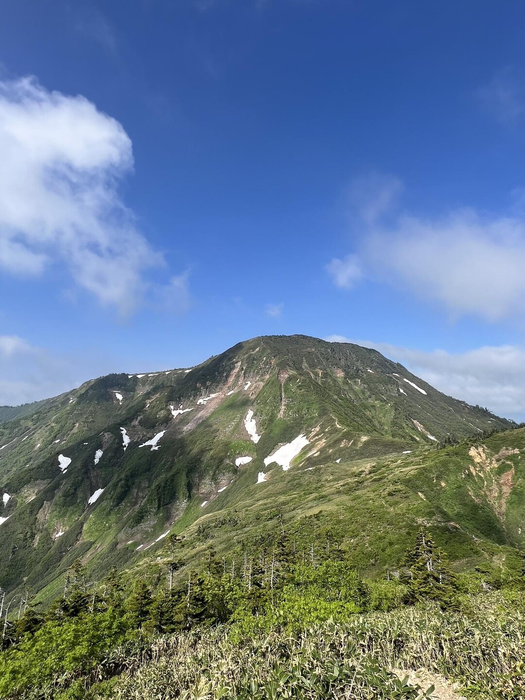 苗場山・赤倉山・佐武流山-2023-06-19 / SAKさんの苗場山・赤倉山・佐武流山の活動データ | YAMAP / ヤマップ