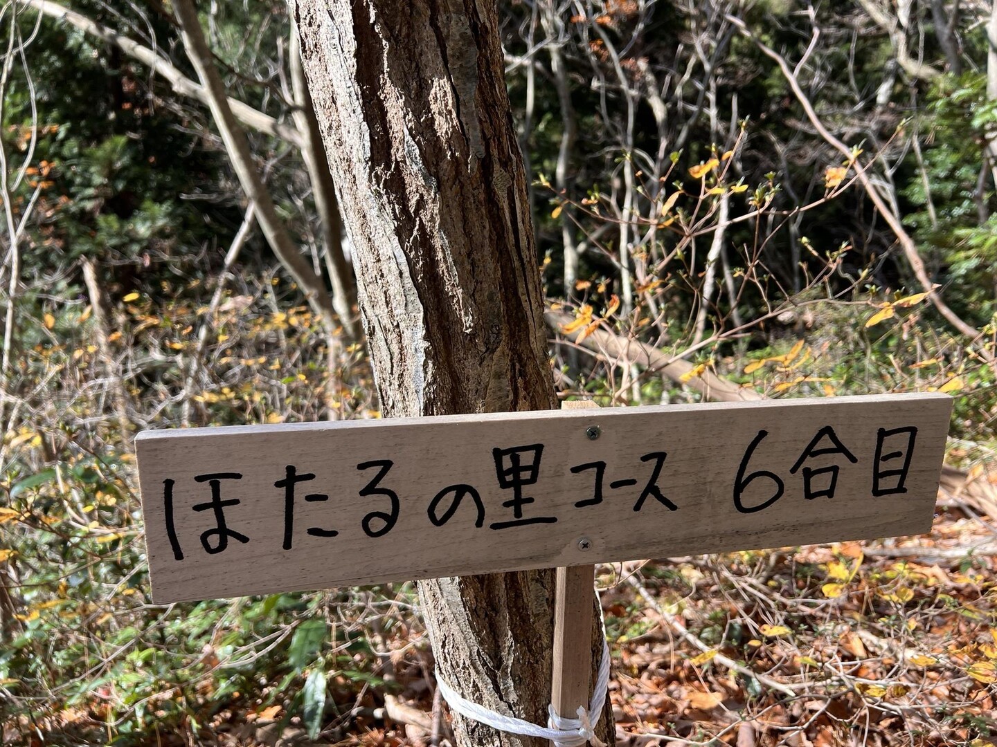 角田山ほたるの里コース⛰🍂 / rirunaoさんの角田山の活動データ | YAMAP / ヤマップ