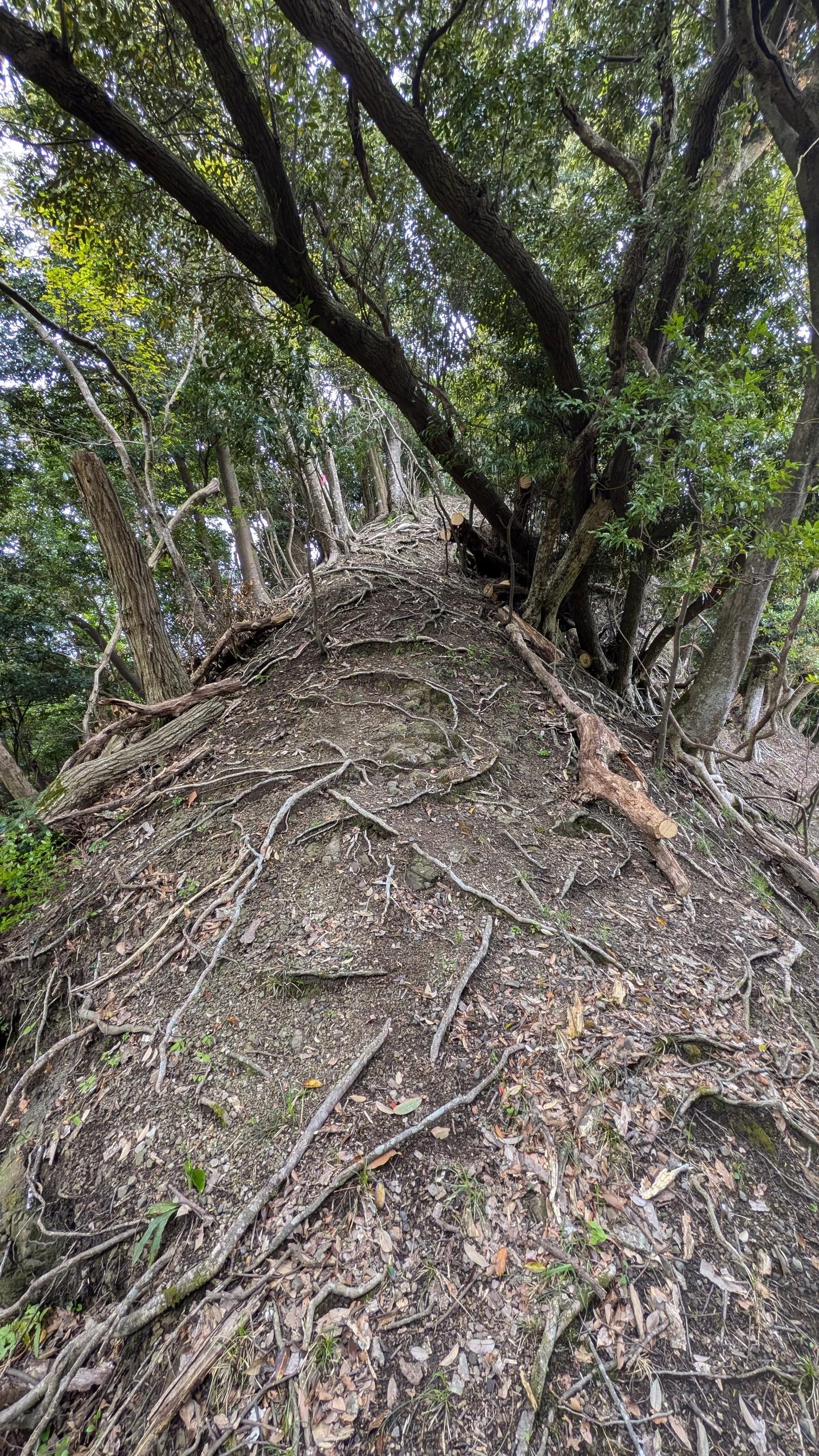 ko usさんの投稿したフィールドメモ | YAMAP / ヤマップ