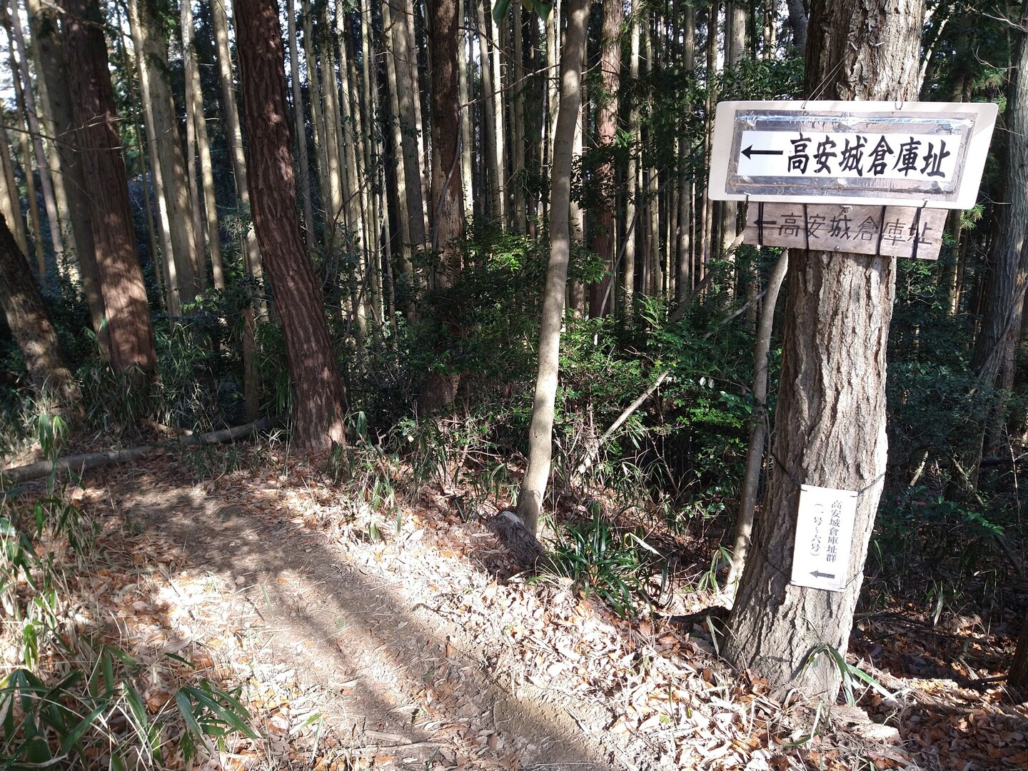 goriさんの投稿したフィールドメモ | YAMAP / ヤマップ