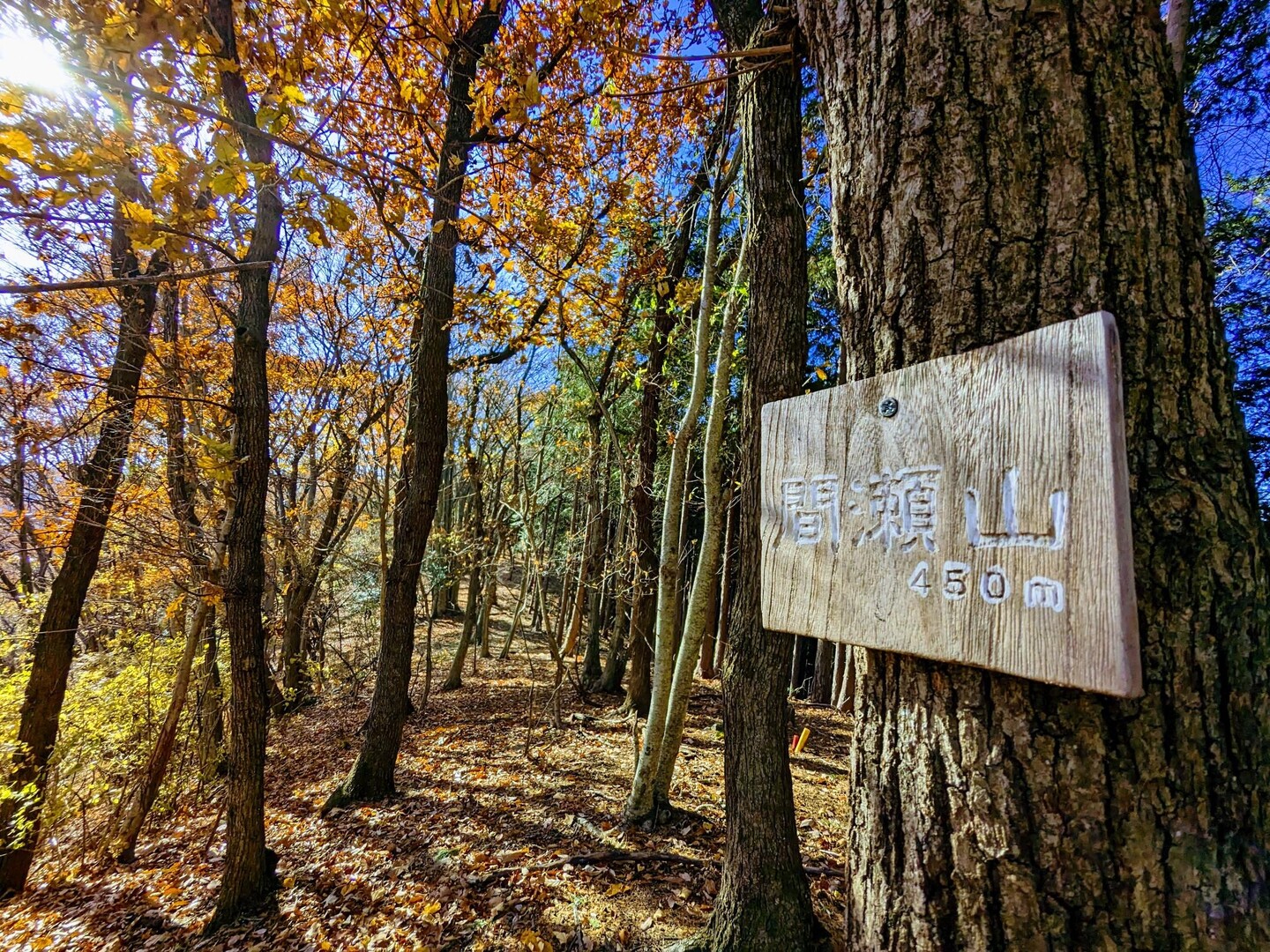 間瀬山〜不動山(No.13)〜陣見山〜金ヶ嶽 トレーニング😌 / wirryさんの宝登山・長瀞アルプス・不動山・陣見山・鐘撞堂山の活動データ | YAMAP / ヤマップ