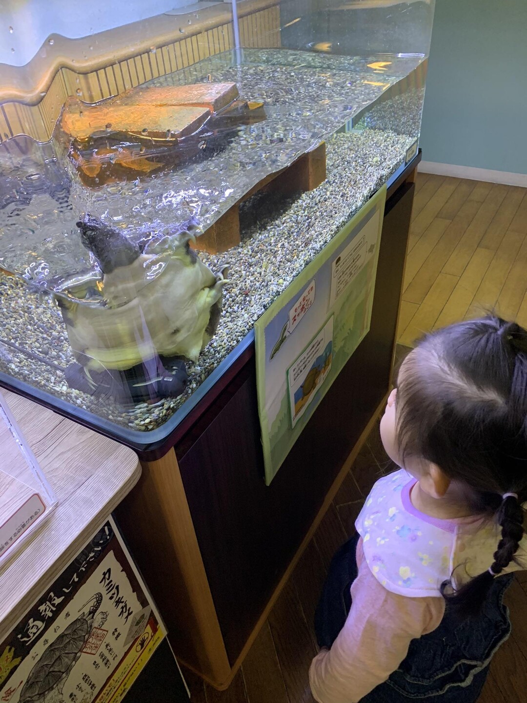 須磨水族園が5月31日に閉園するので、娘... / 群魚さんのモーメント | YAMAP / ヤマップ