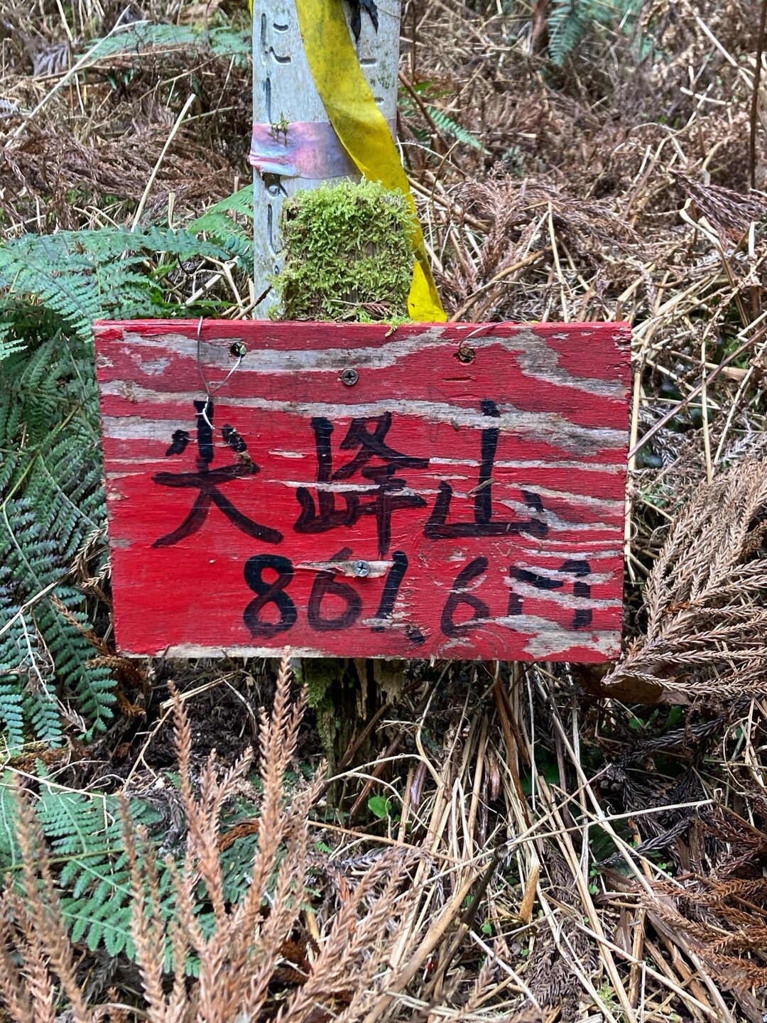 黒松山・尖峰山 / cocoaさんの有田川の活動データ | YAMAP / ヤマップ