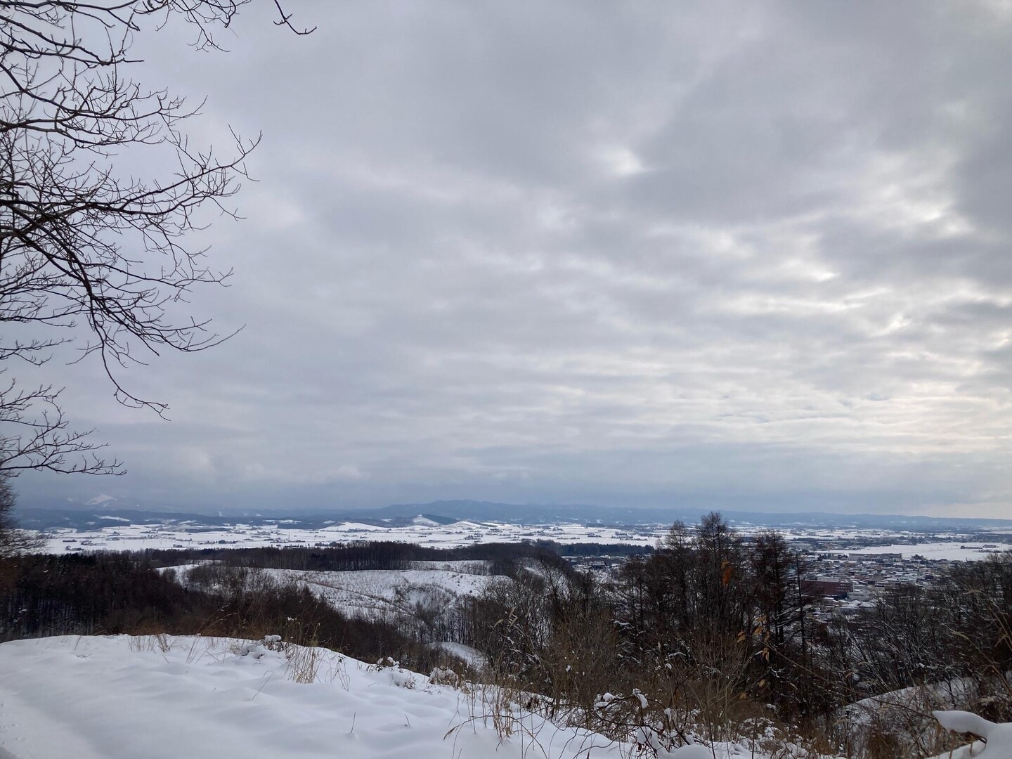 リハビリ登山 御大師山 / Virinさんの馬追丘陵・長官山・瀞台（馬追山）の活動日記 | YAMAP / ヤマップ