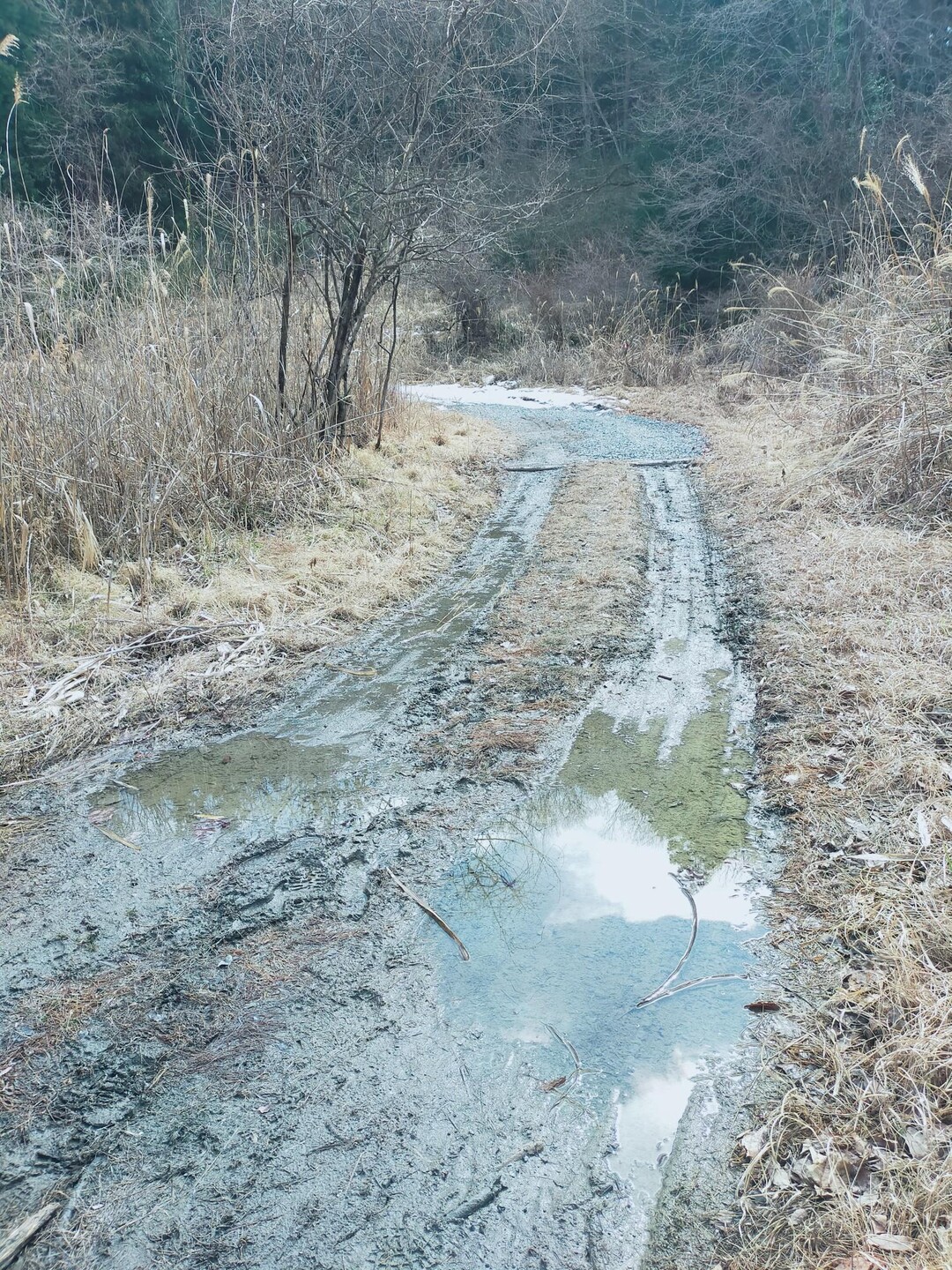 omasa さんの投稿したフィールドメモ | YAMAP / ヤマップ