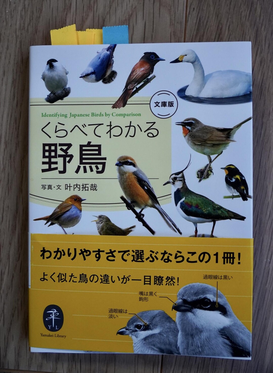野鳥の本買いました ️ 今日もいましたヤ... / yosi＆ryoさんのモーメント | YAMAP / ヤマップ
