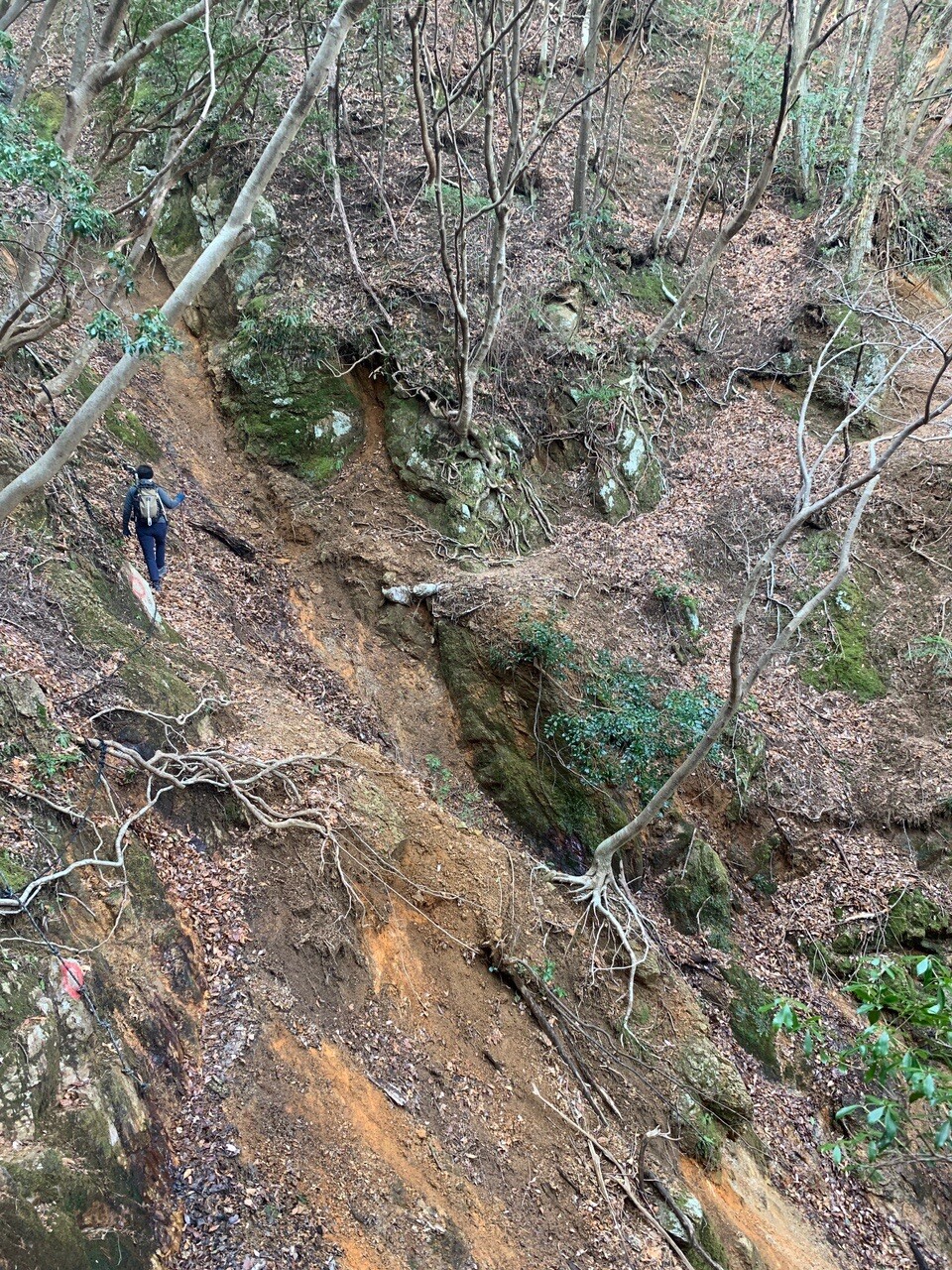 podoryさんの投稿したフィールドメモ | YAMAP / ヤマップ