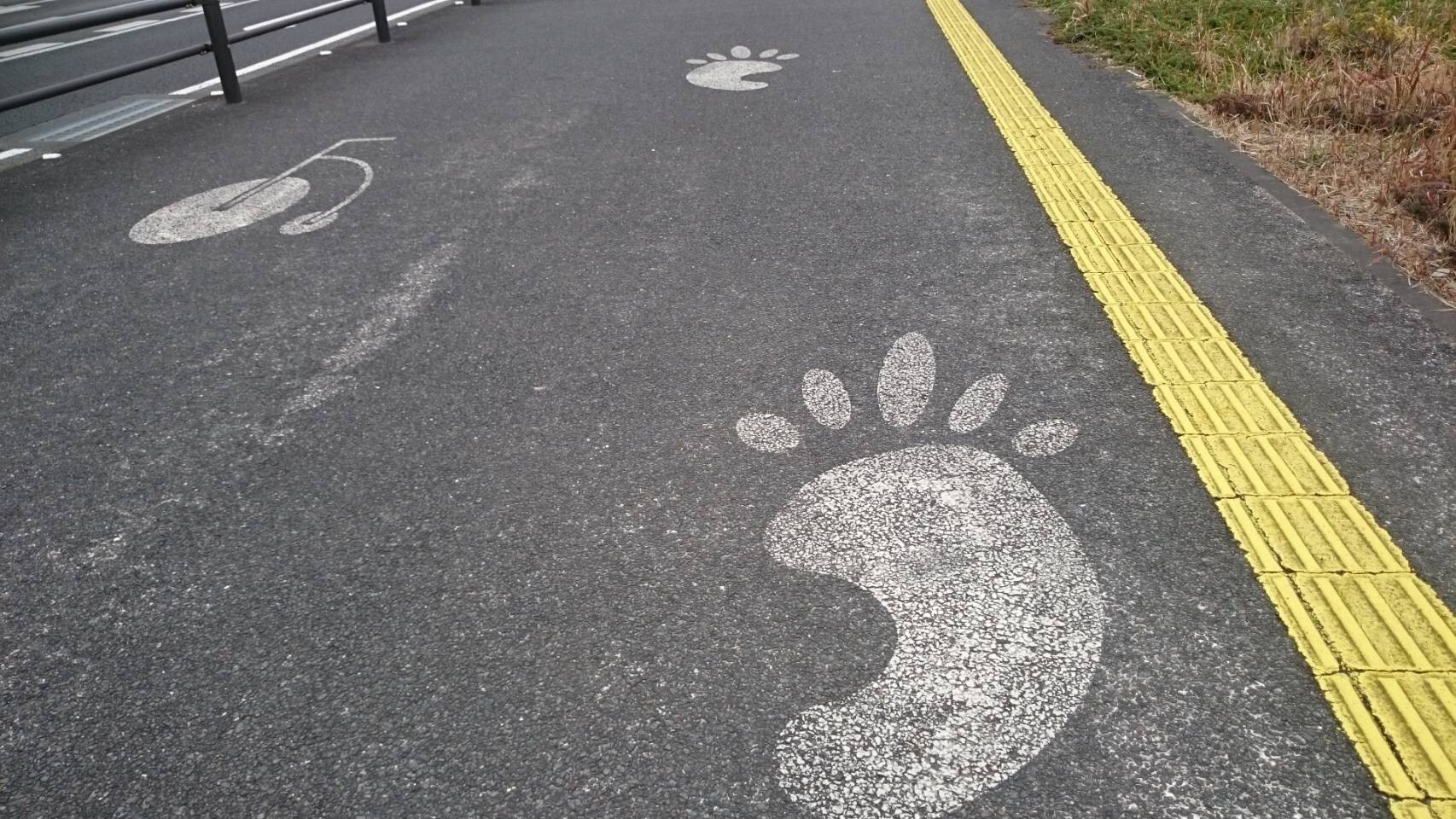 自転車も通ってよい歩道。路面の絵がカワイ... / どらさんのモーメント | YAMAP / ヤマップ