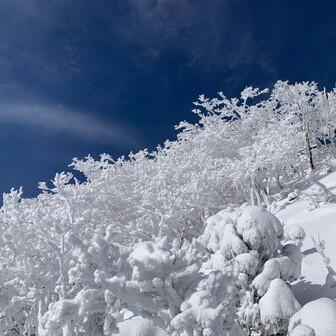 南大阪マウンテンミーティング3M / YAMAP の山コミュニティ | YAMAP / ヤマップ
